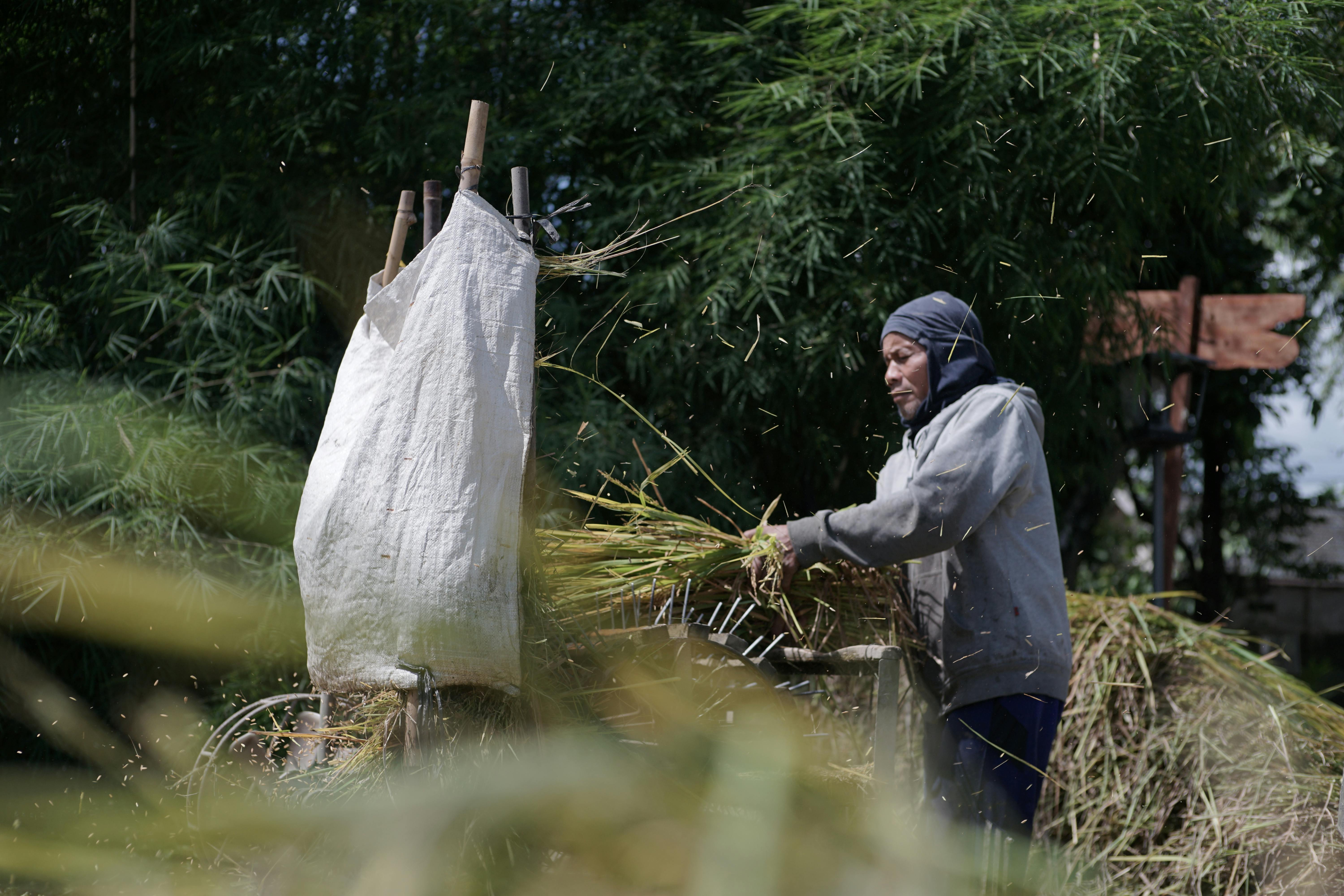 Women in Traditional Clothing Working in Field · Free Stock Photo