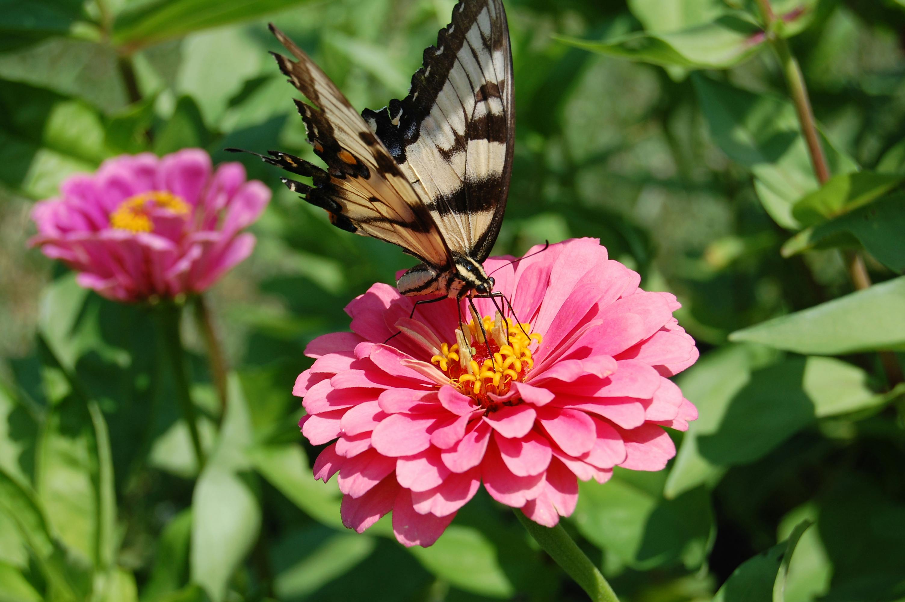 Bitterness Photos, Download The BEST Free Bitterness Stock Photos & HD ...