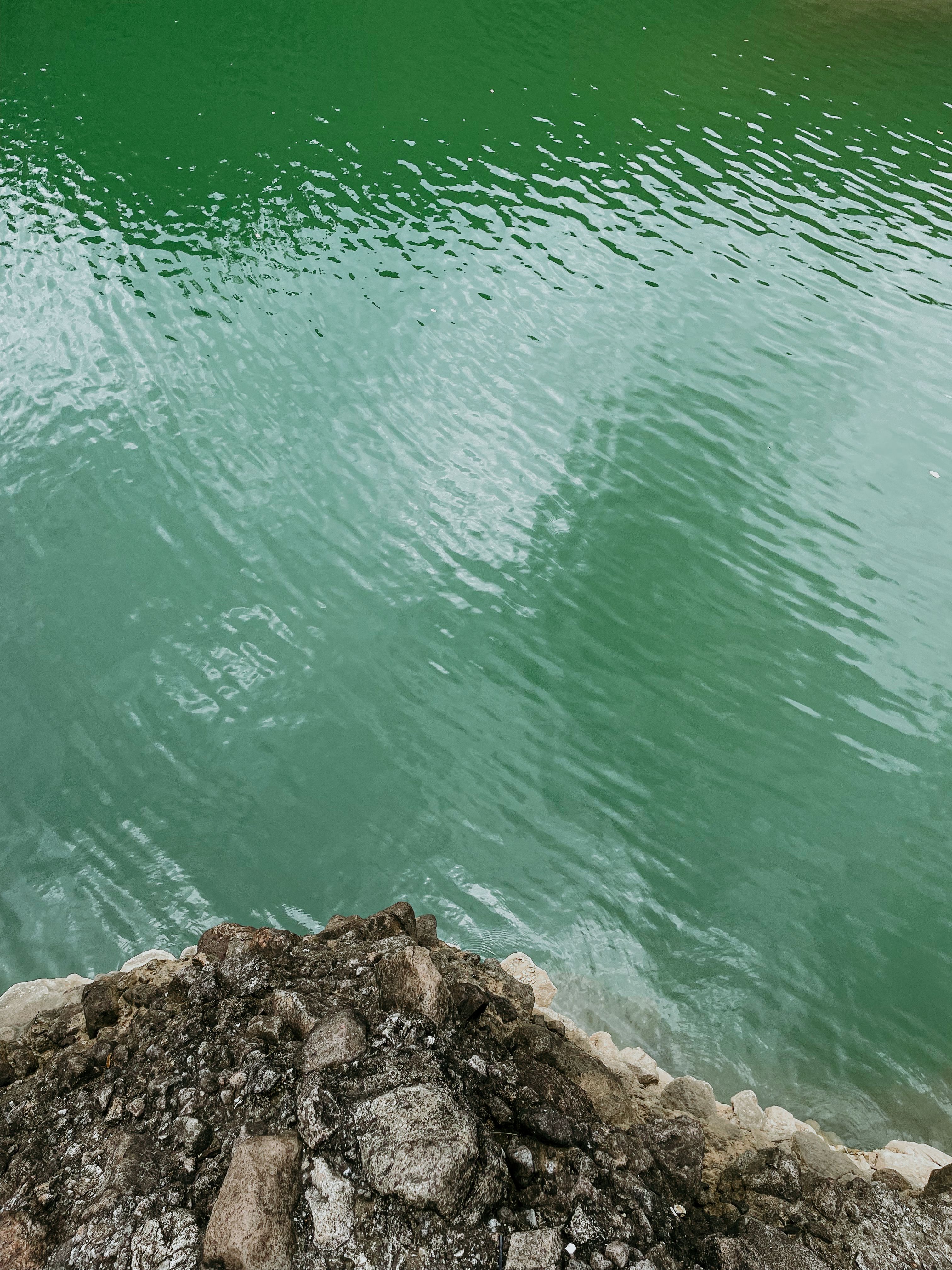 A Turquoise Water by the Shore · Free Stock Photo