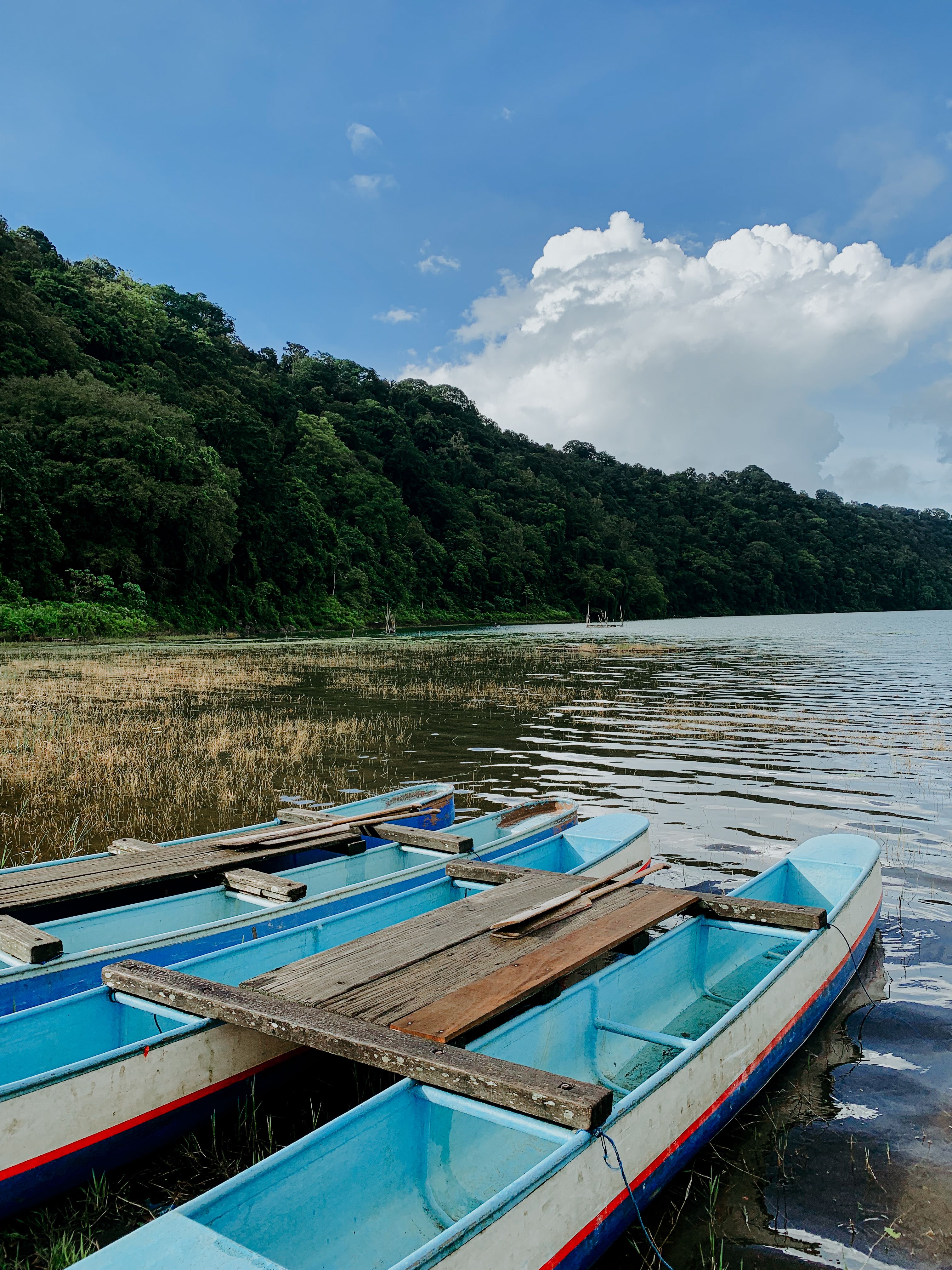 Canoes by the River · Free Stock Photo