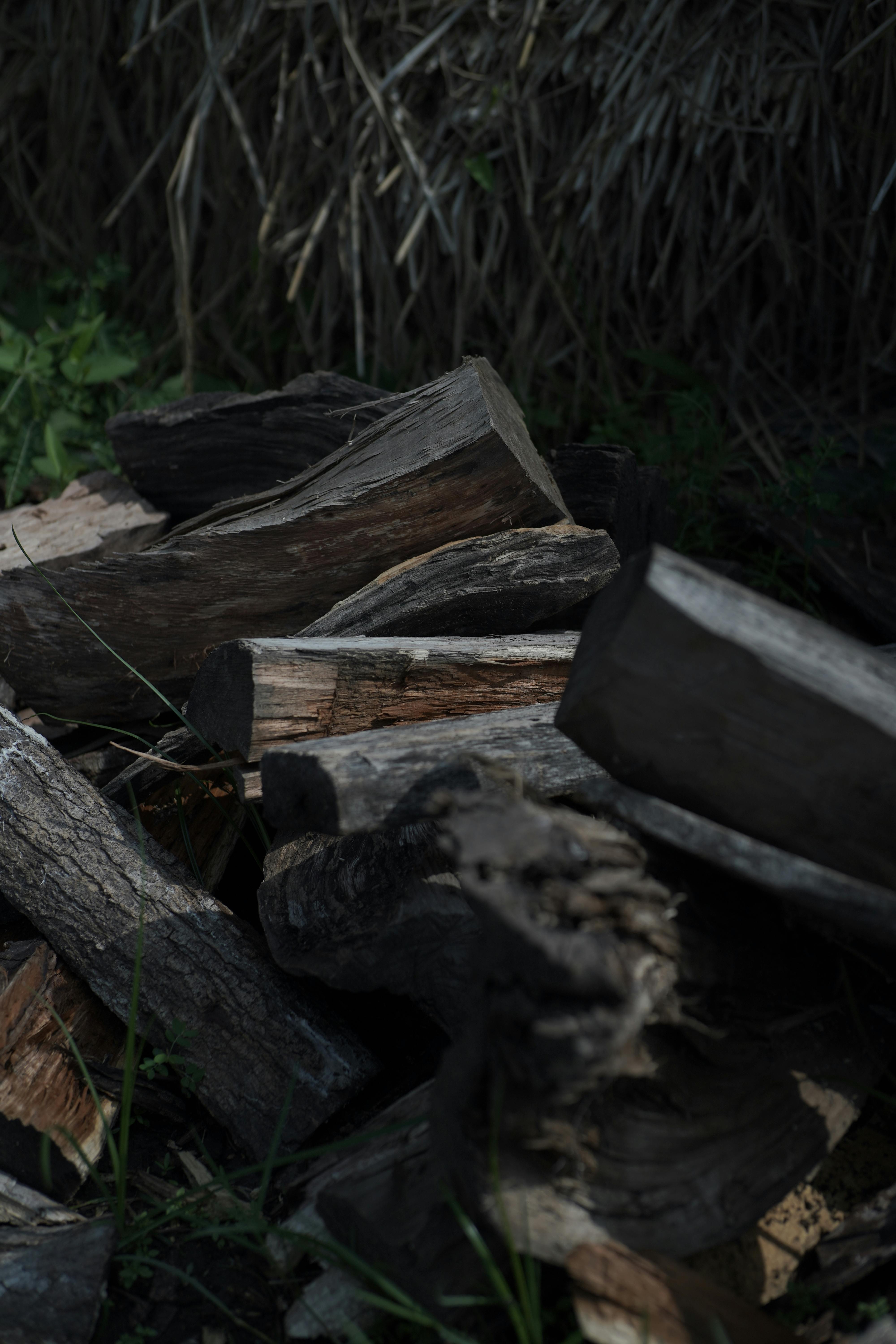 Close-Up Shot of Wooden Logs · Free Stock Photo