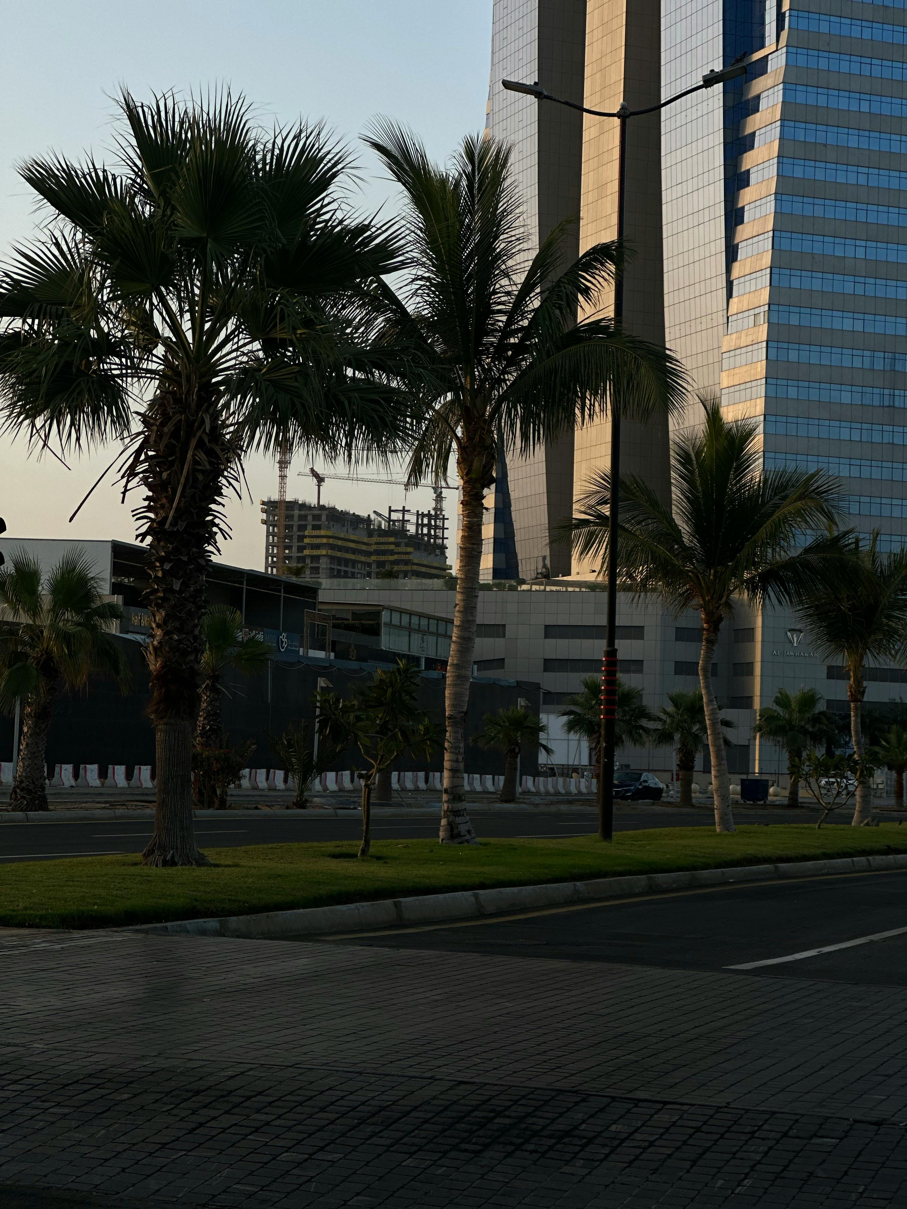 Red Trees Growing by Side of Road in City · Free Stock Photo
