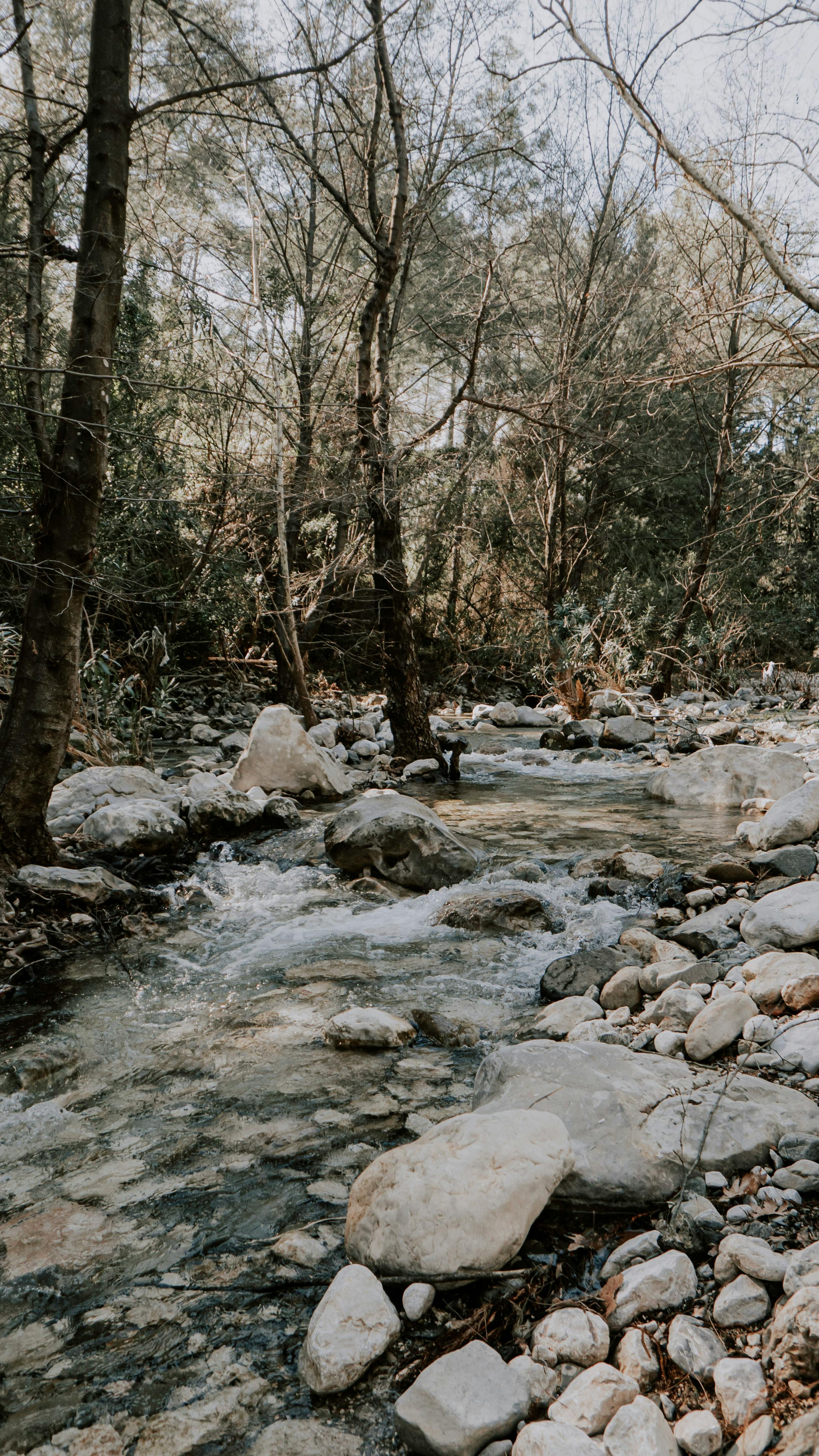 Gusty Winds Photos, Download The BEST Free Gusty Winds Stock Photos ...