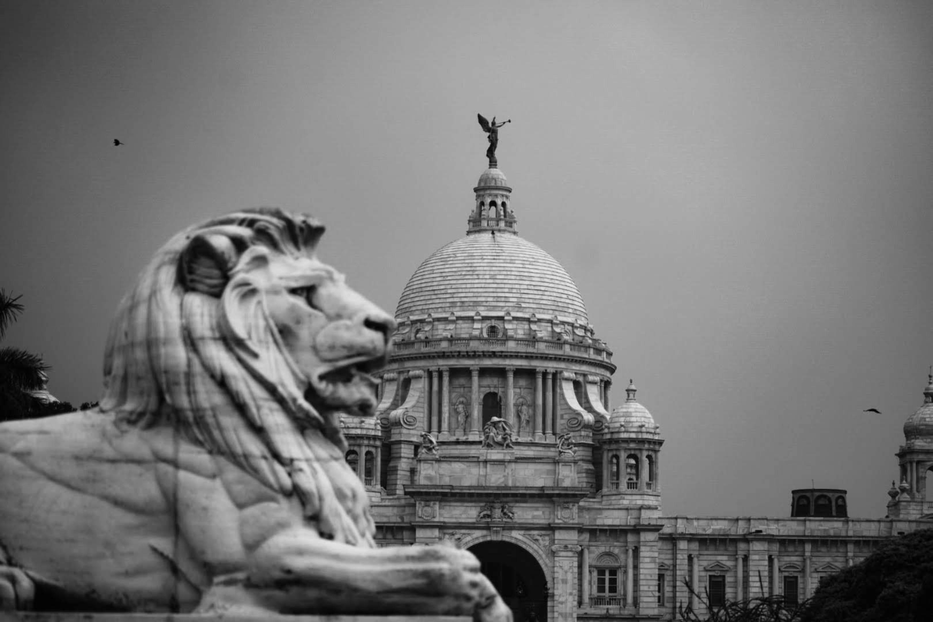 SUVAM ROY - การถ่ายภาพ