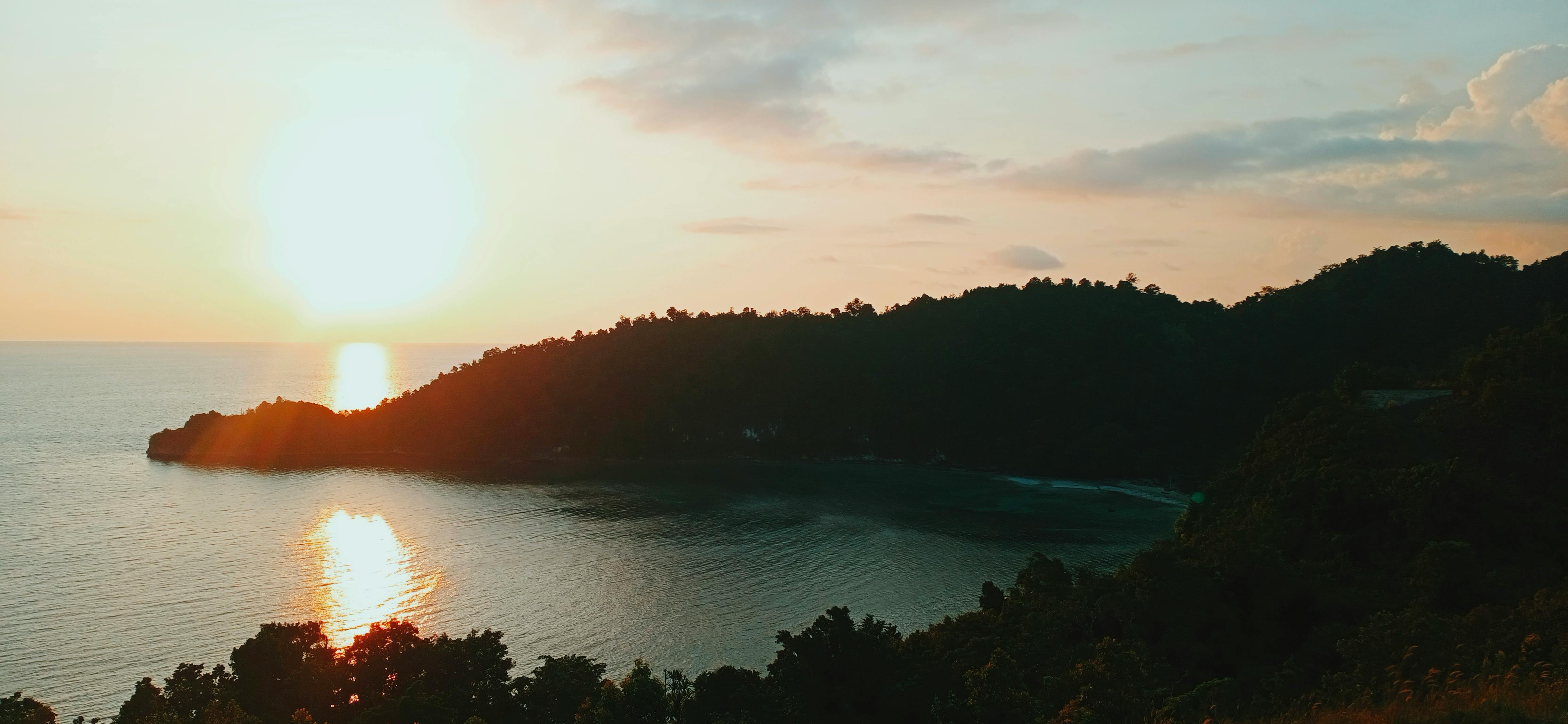 Forest of Telascica Nature Park in Croatia · Free Stock Photo