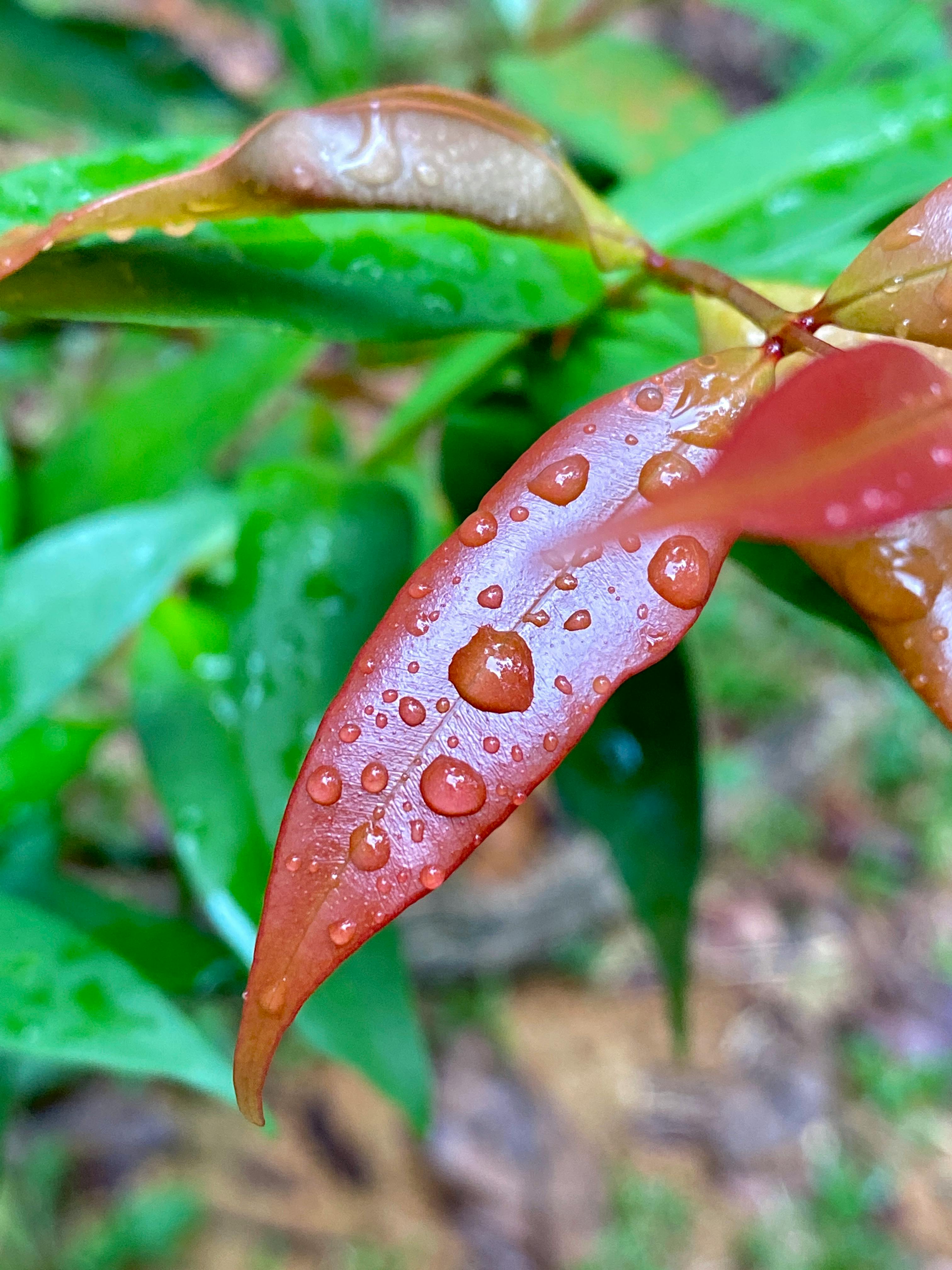 Catherine Sheila – Fotografia