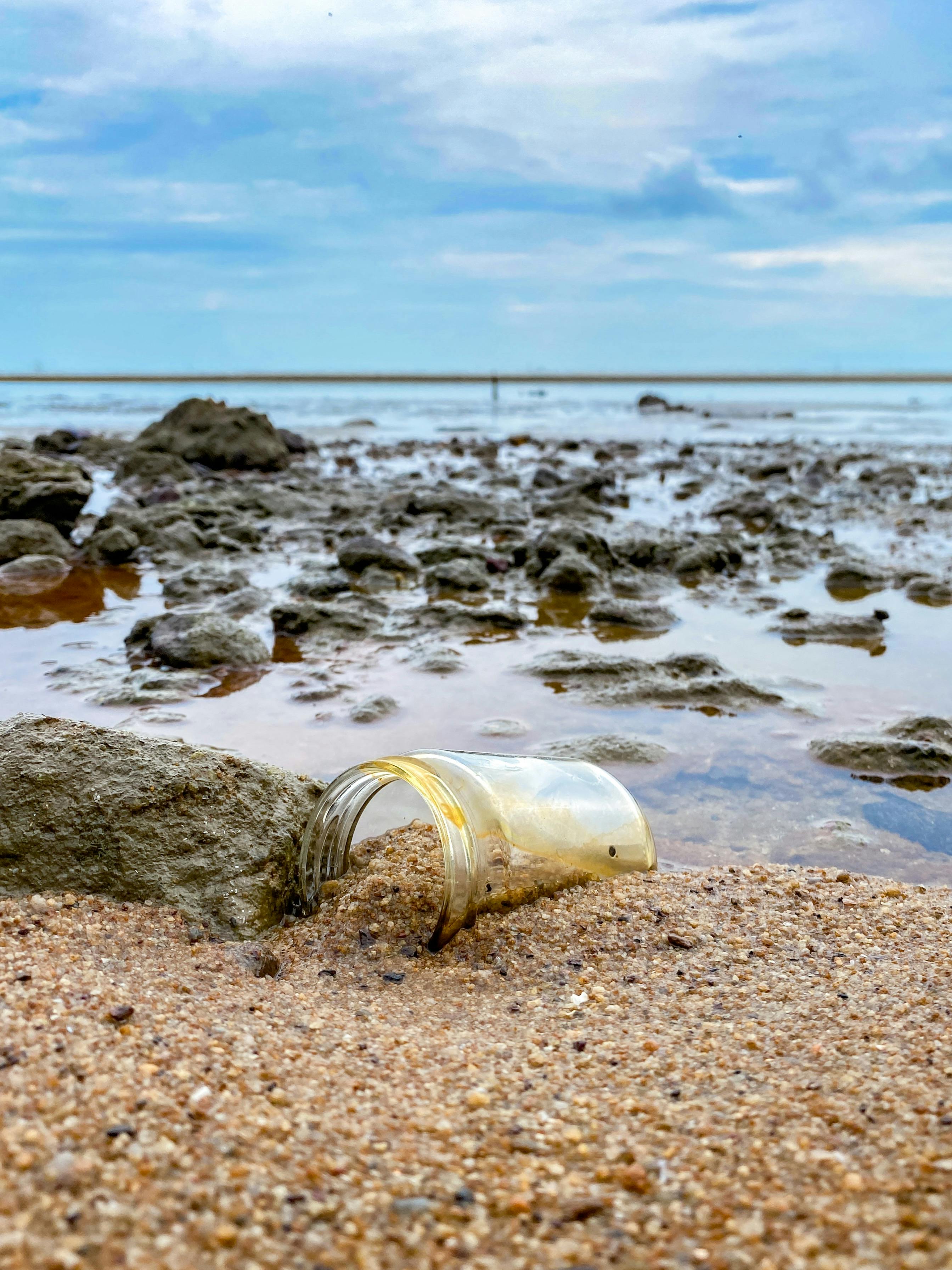 Catherine Sheila - Fotografía