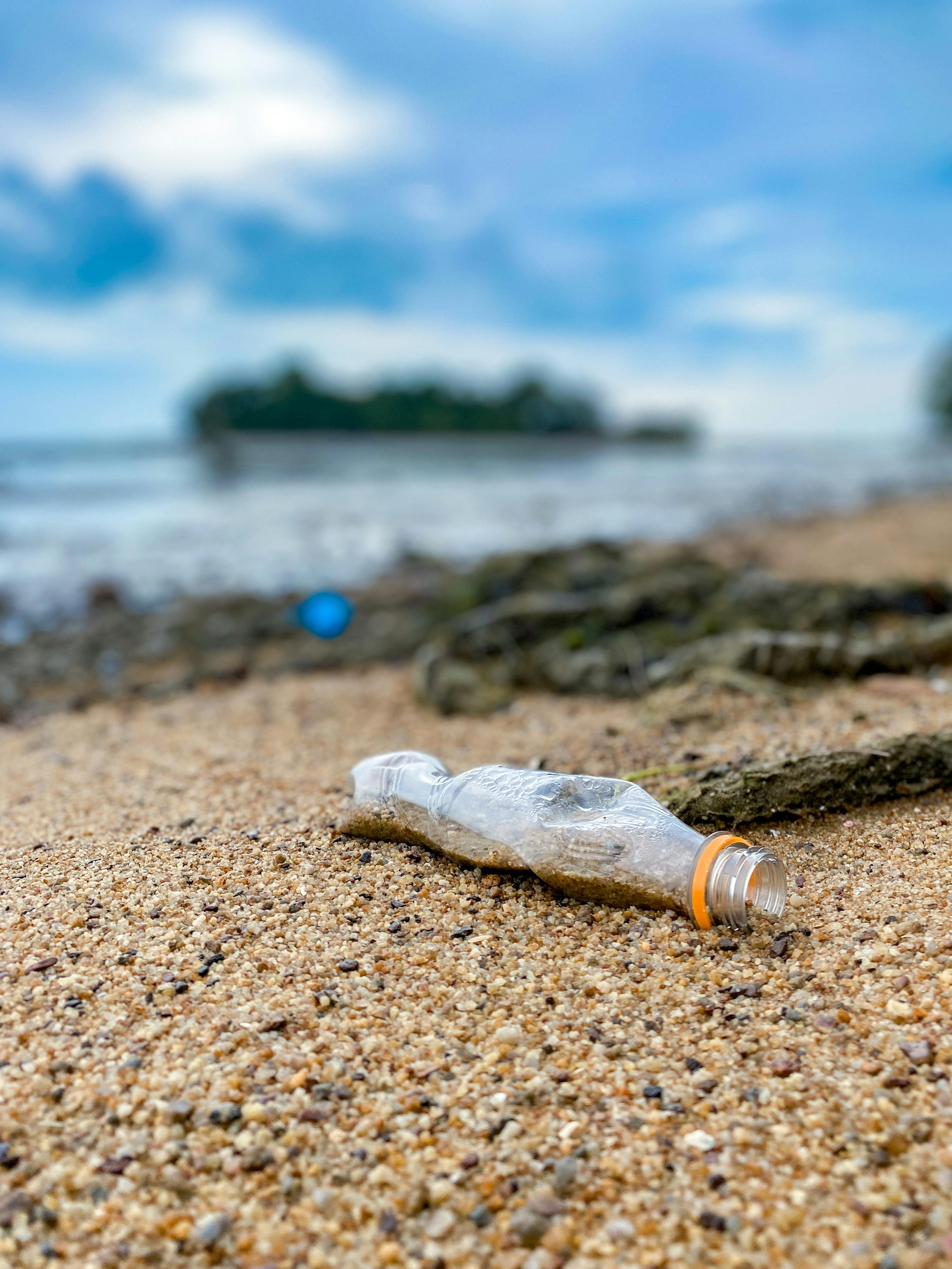 Catherine Sheila - 写真