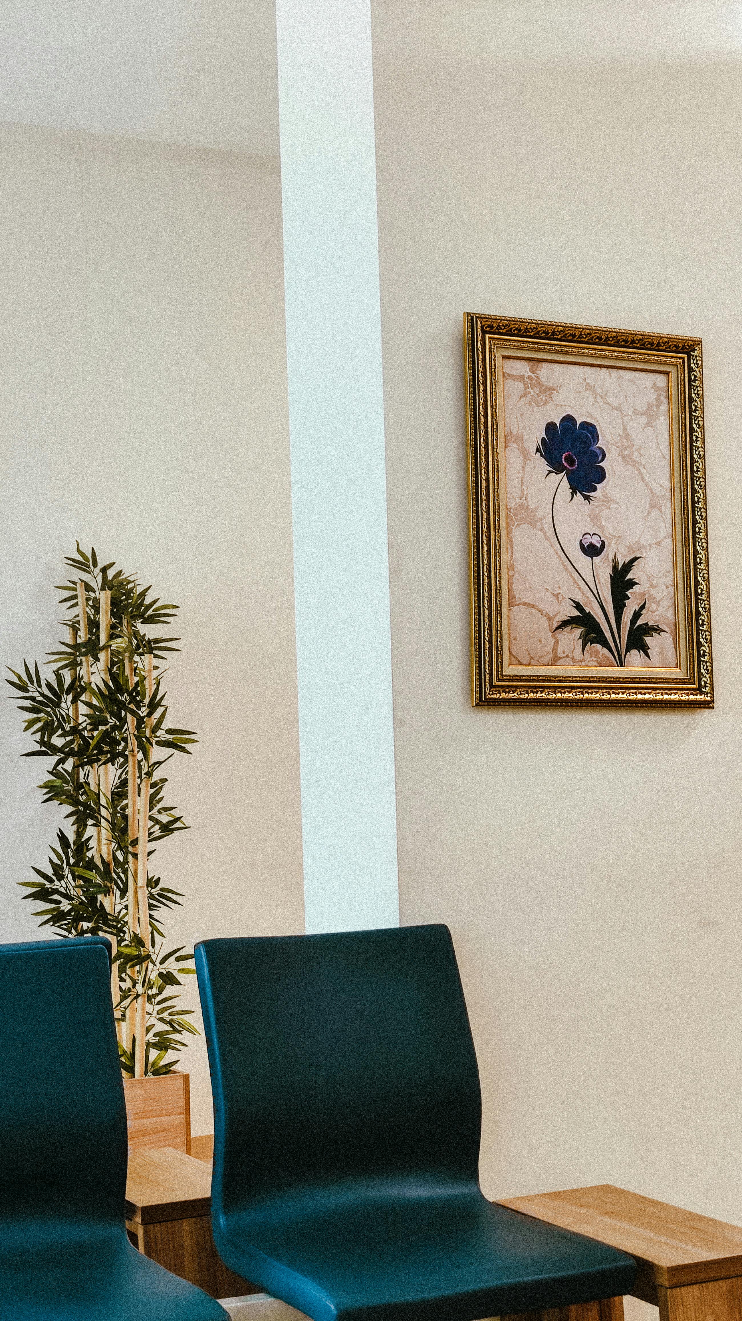 Blue Chairs in an Elegant Modern Interior · Free Stock Photo