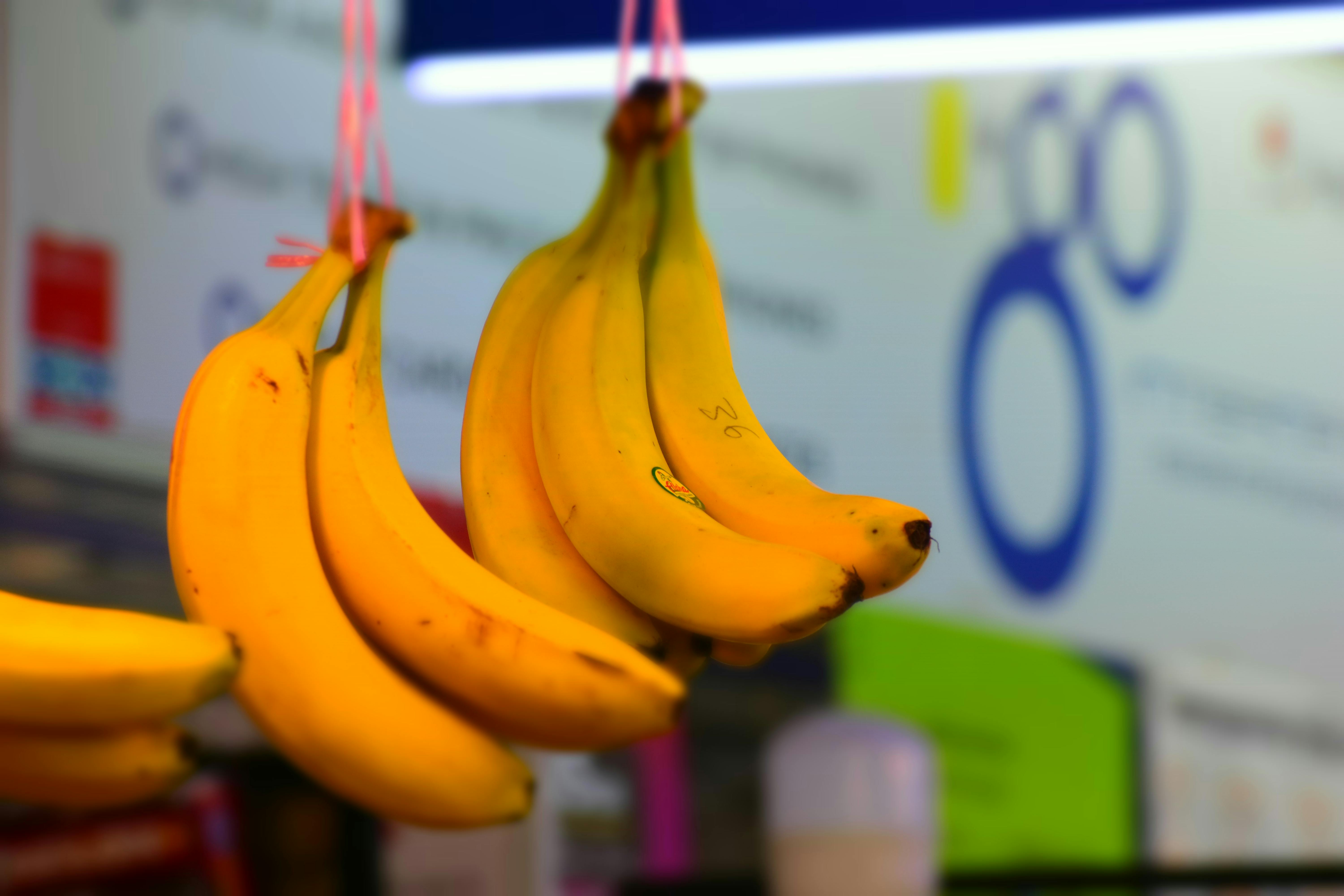 Bananas Hanging at a Grocery Store · Free Stock Photo