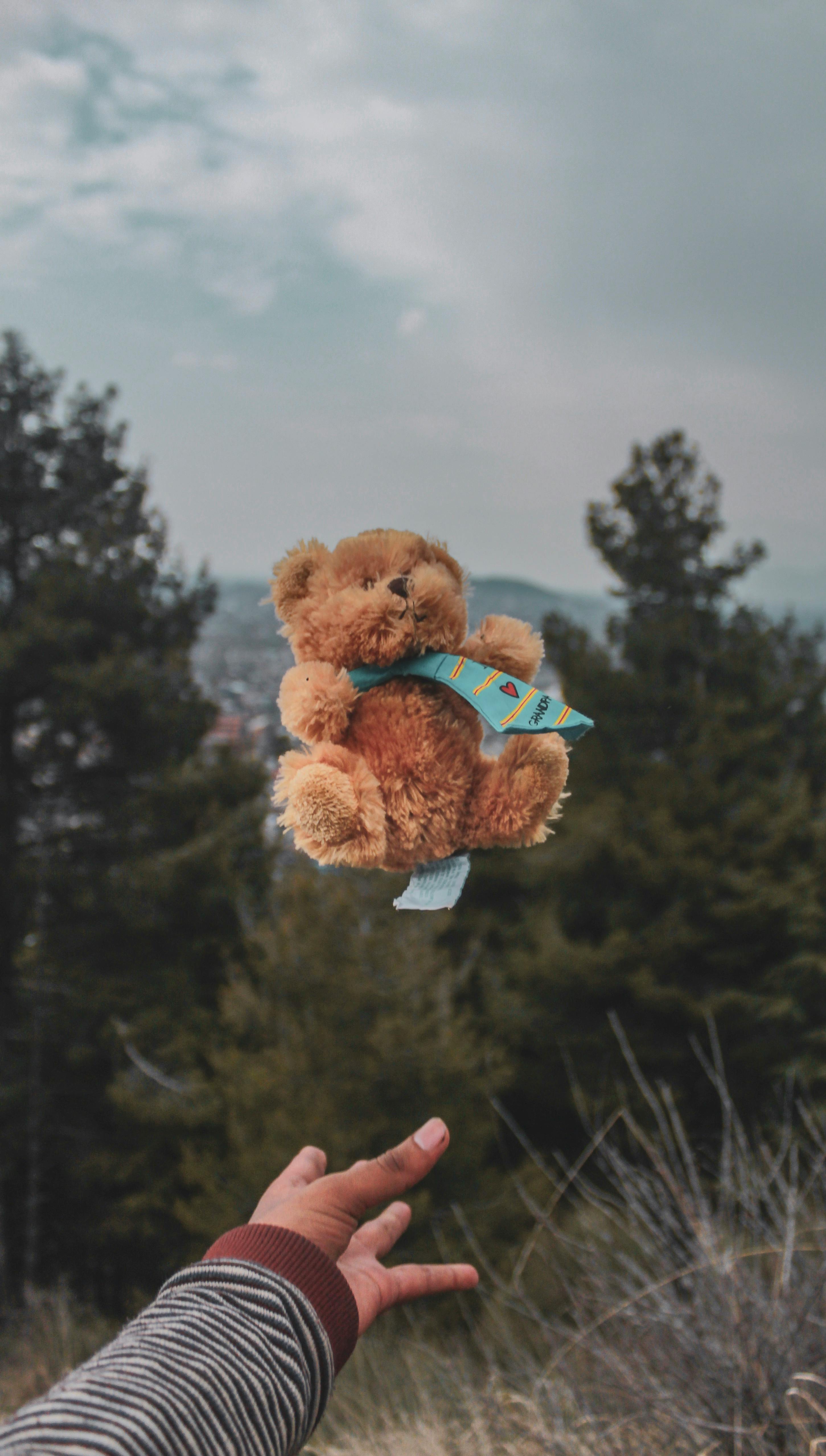 A Man Throwing a Teddy Bear in a Forest · Free Stock Photo
