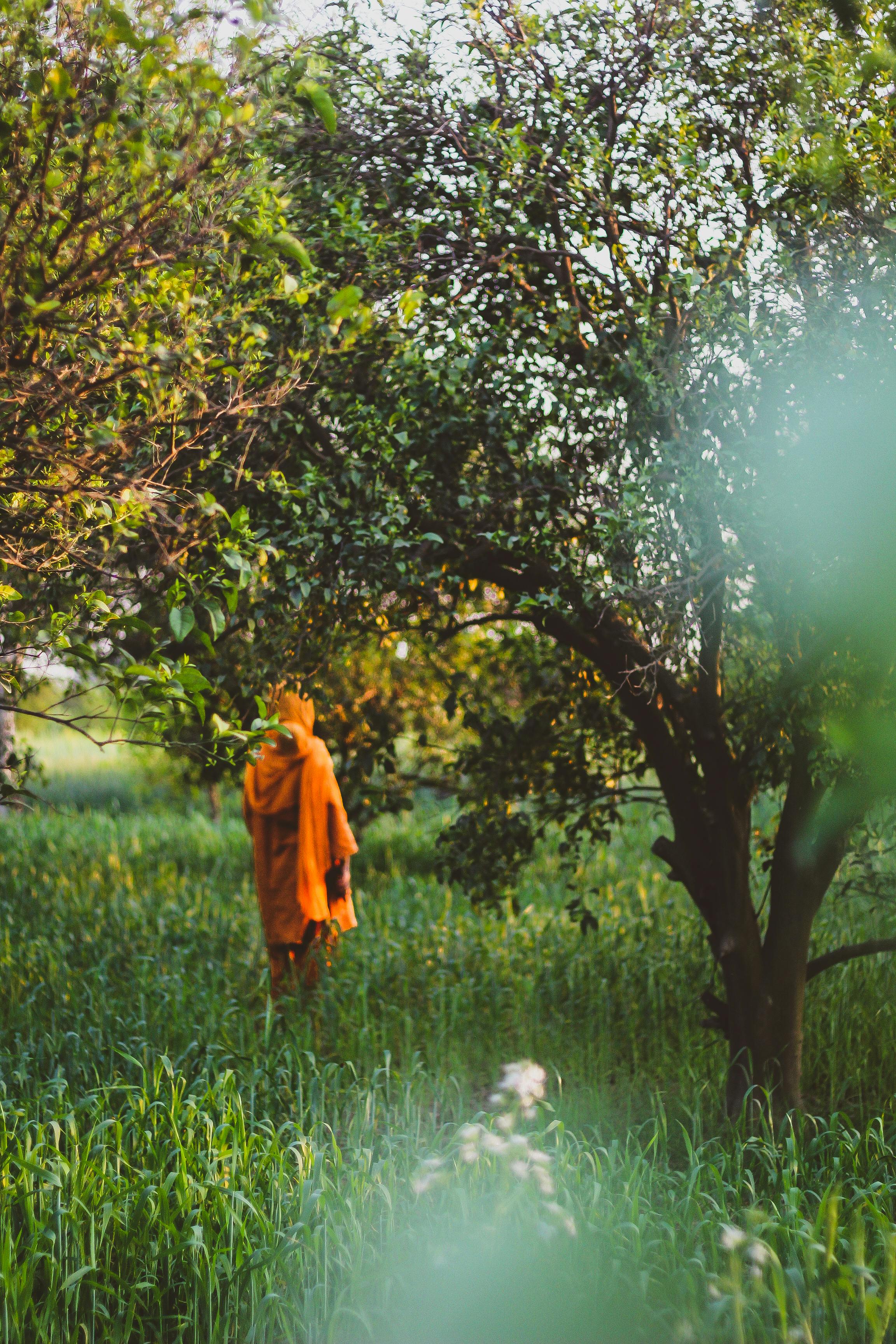Woman Standing among Trees in Orchard · Free Stock Photo