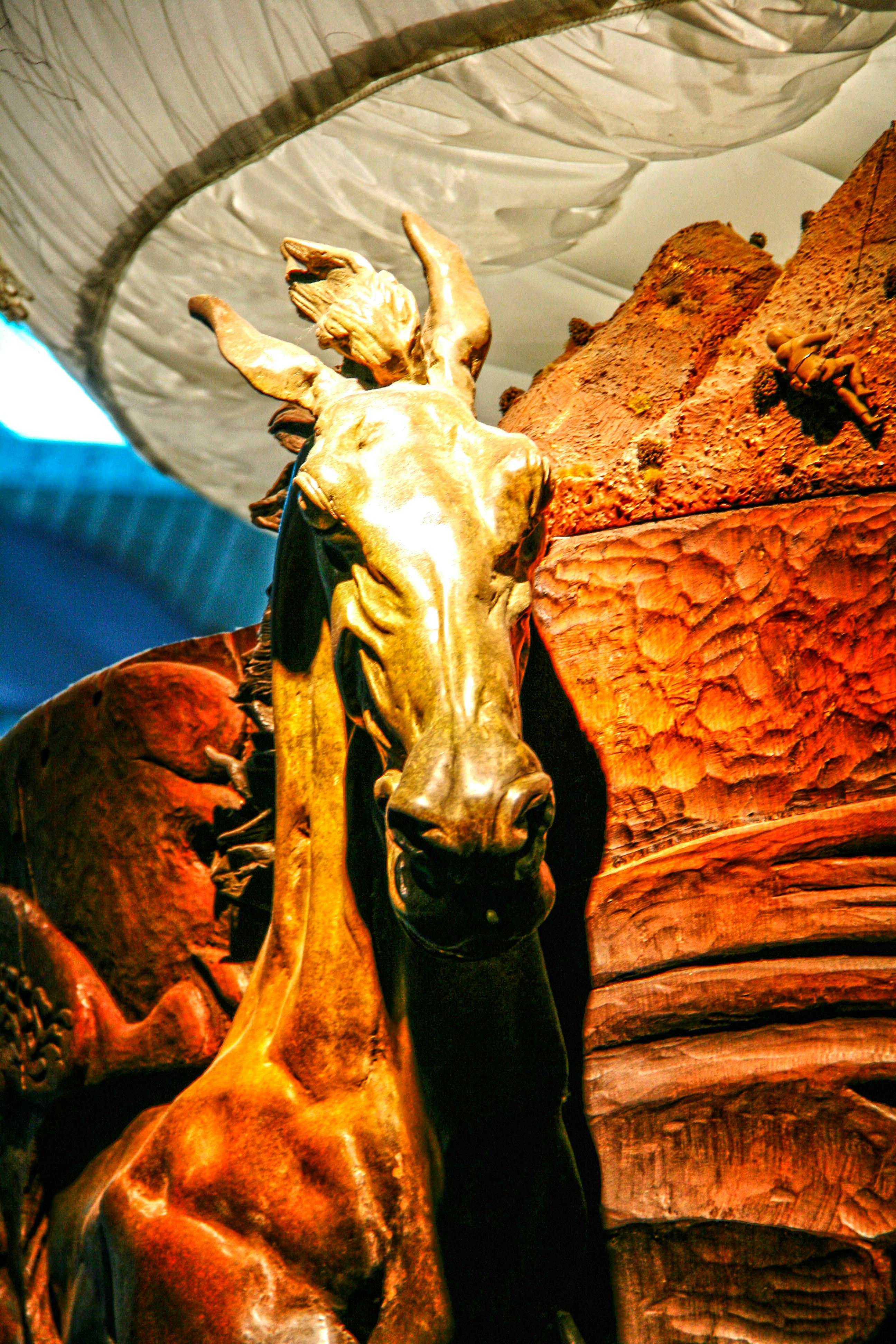 Varios 12 Photos & Videos Collected by Carmen Dominguez