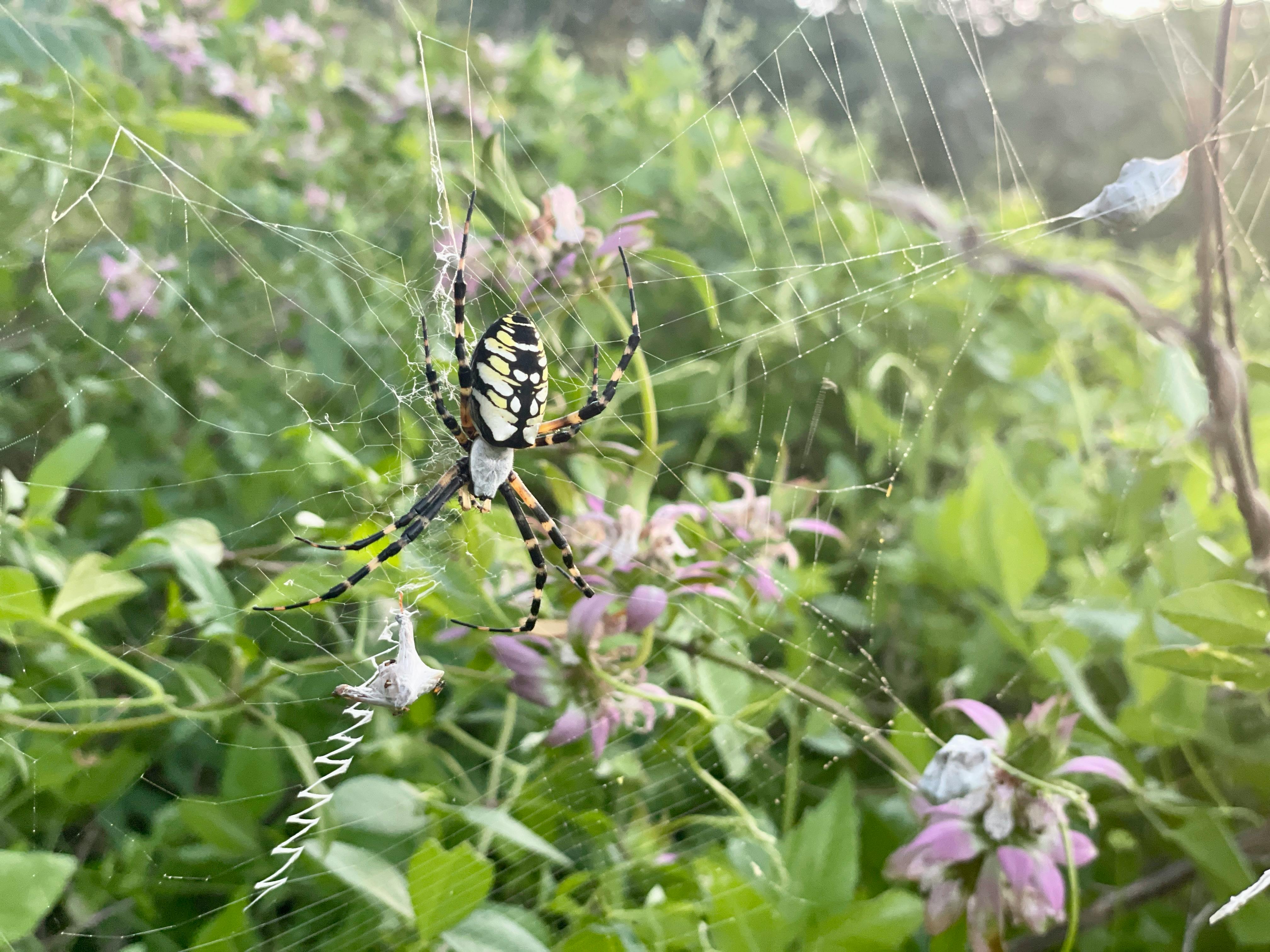 Rachel S - Photography