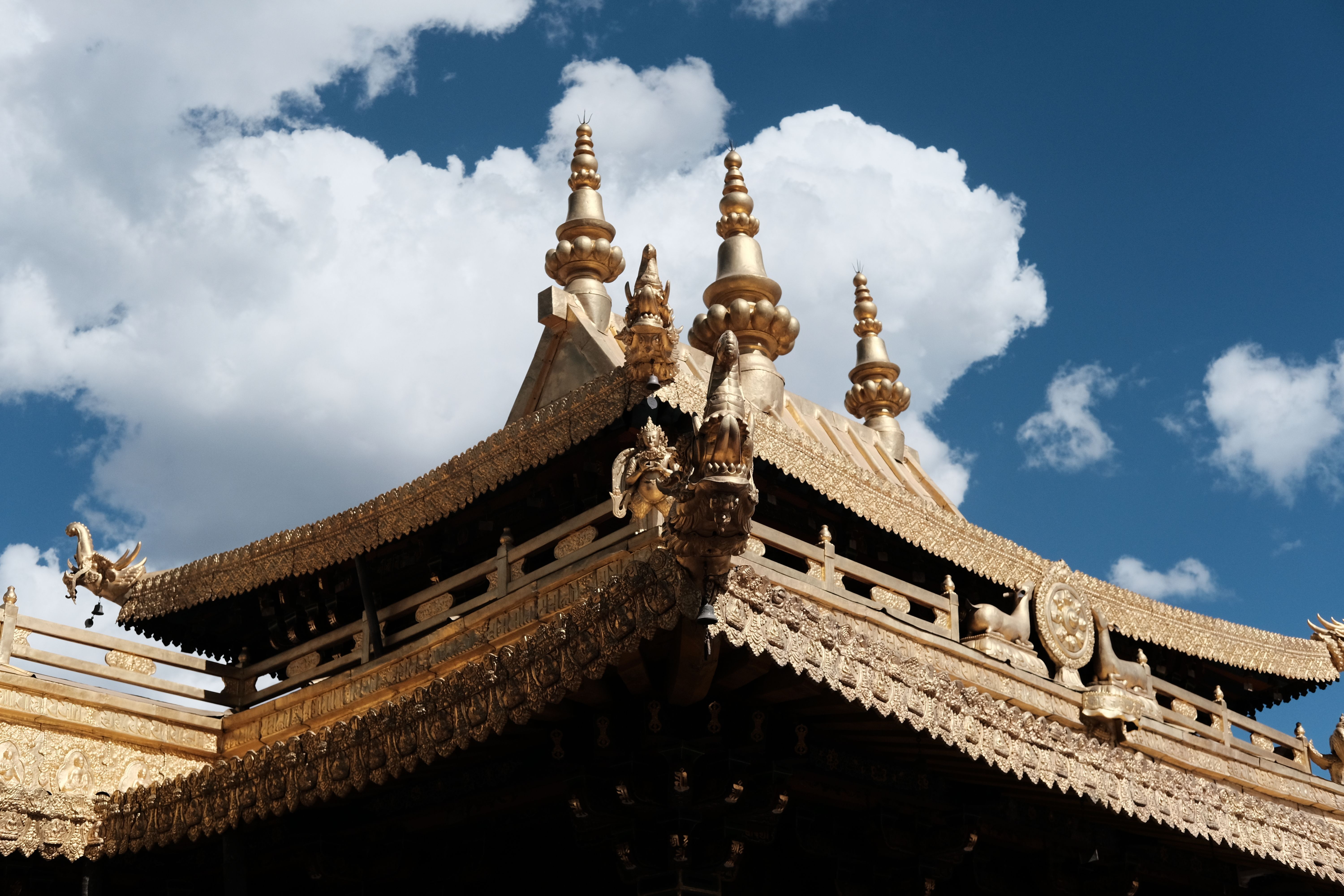 Traditional Japanese Building Surrounded with Trees · Free Stock Photo