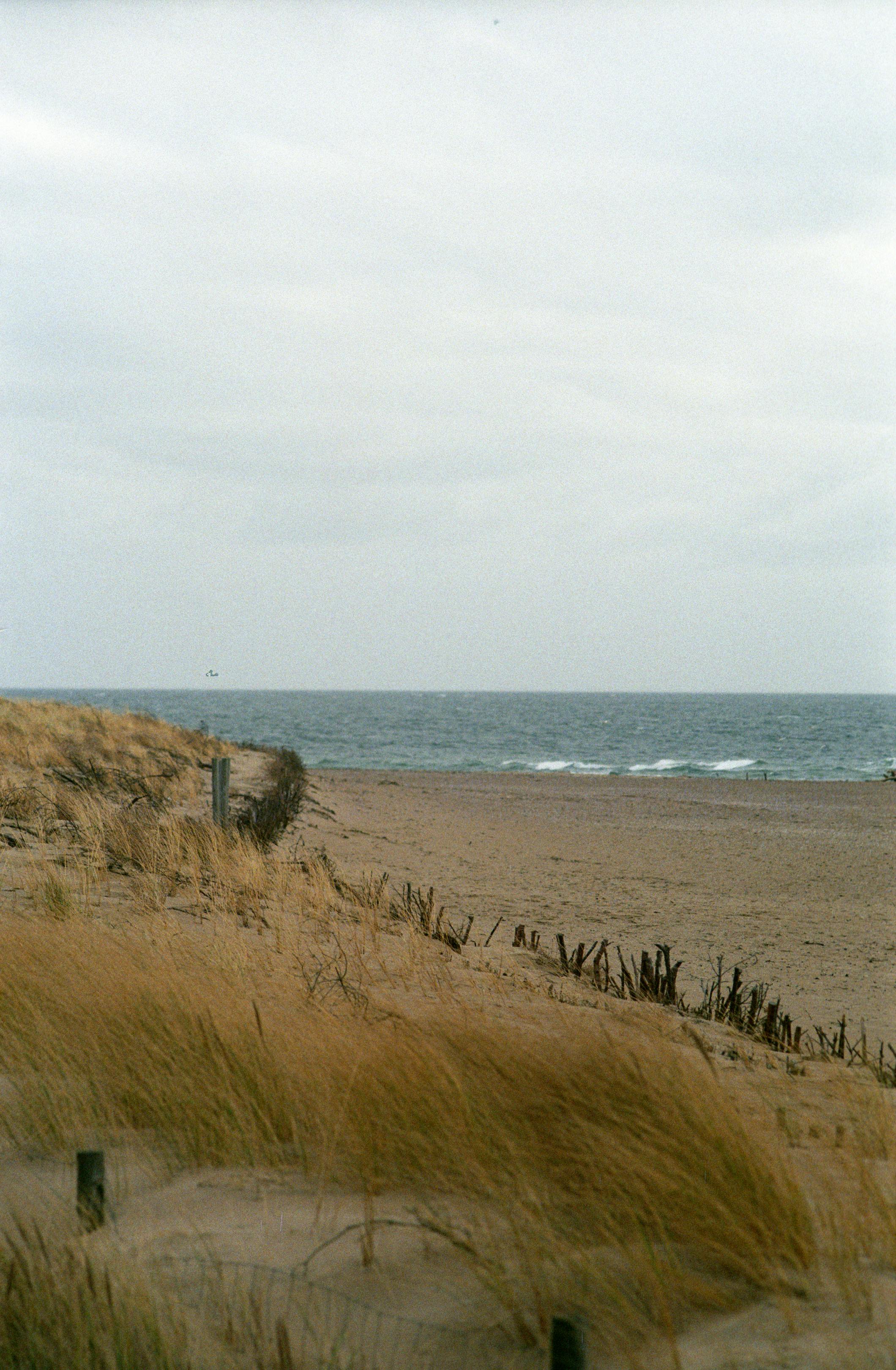 Beach Scenery Photos, Download The BEST Free Beach Scenery Stock Photos ...