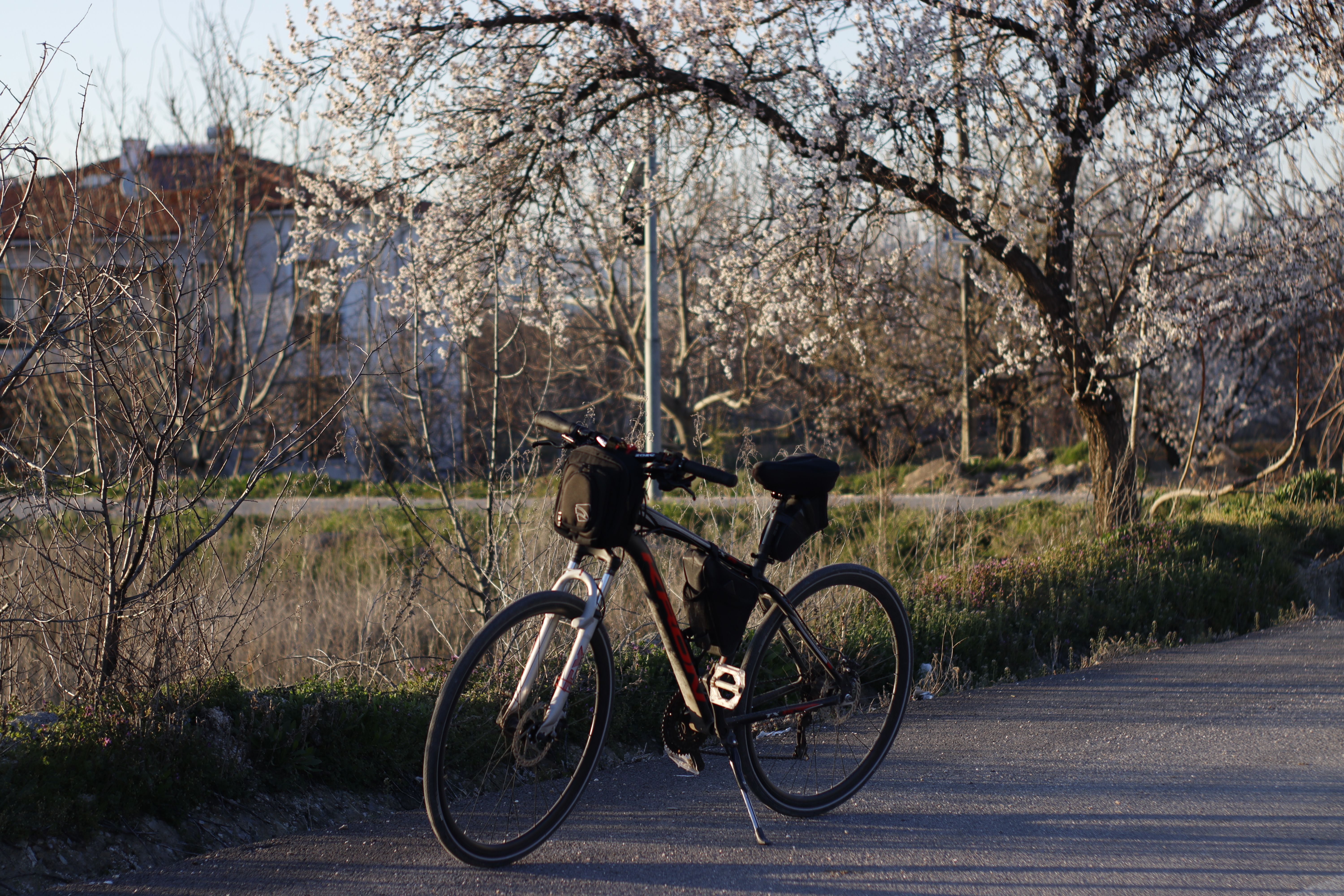 Free Road Bikes Photos, Download The BEST Free Free Road Bikes Stock ...