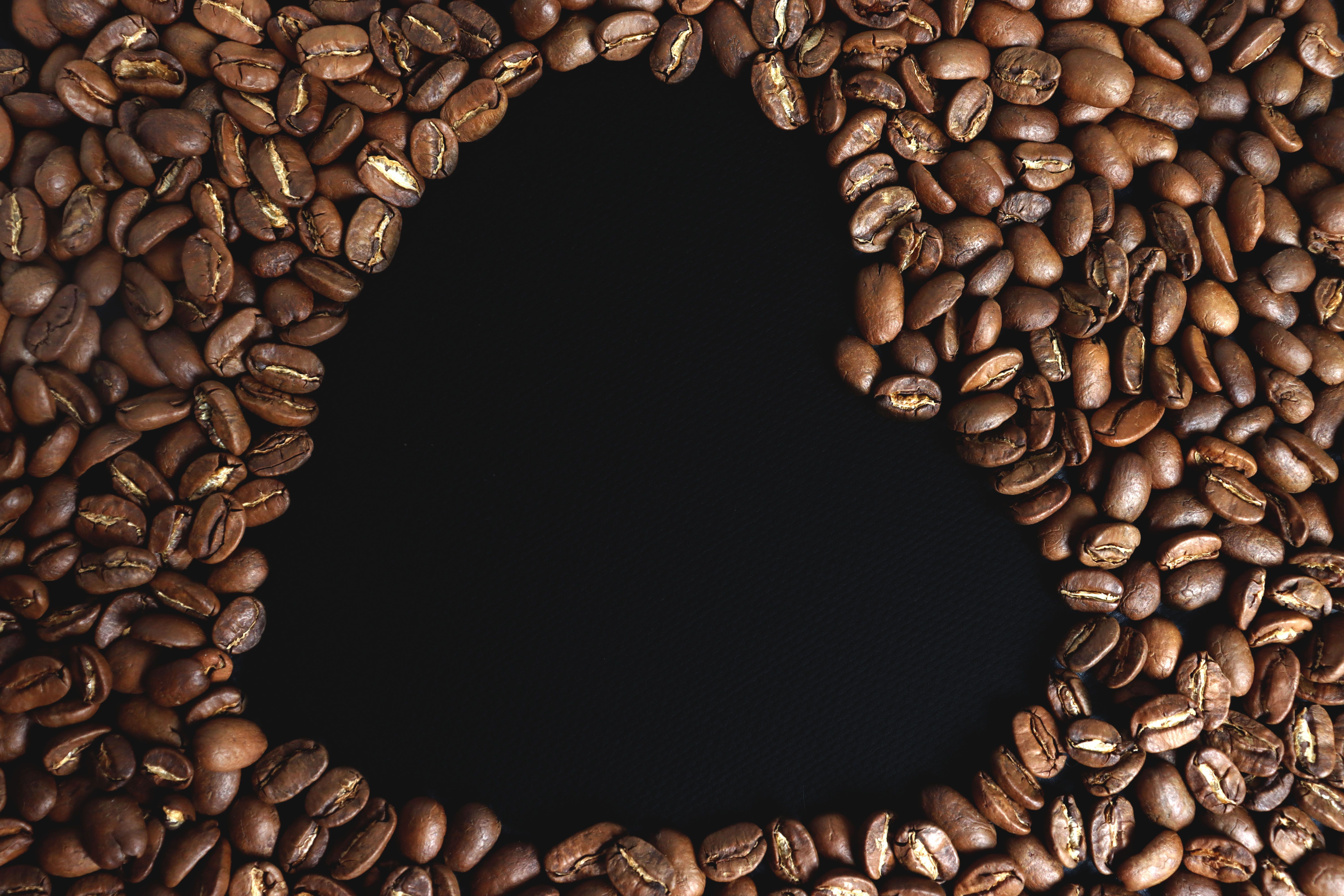 Coffee Beans Arranged in Heart Shape · Free Stock Photo