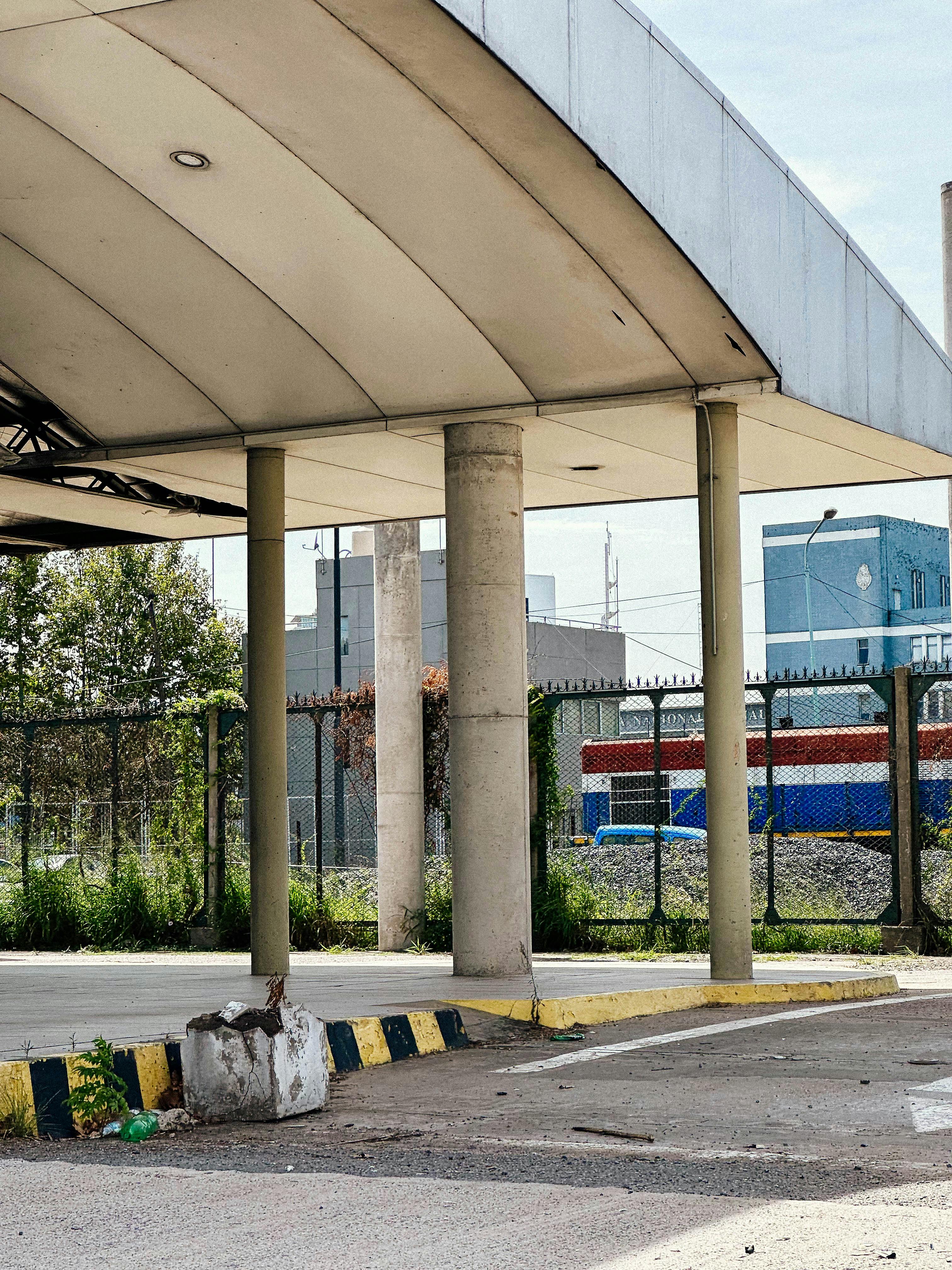Columns under Building Ceiling · Free Stock Photo