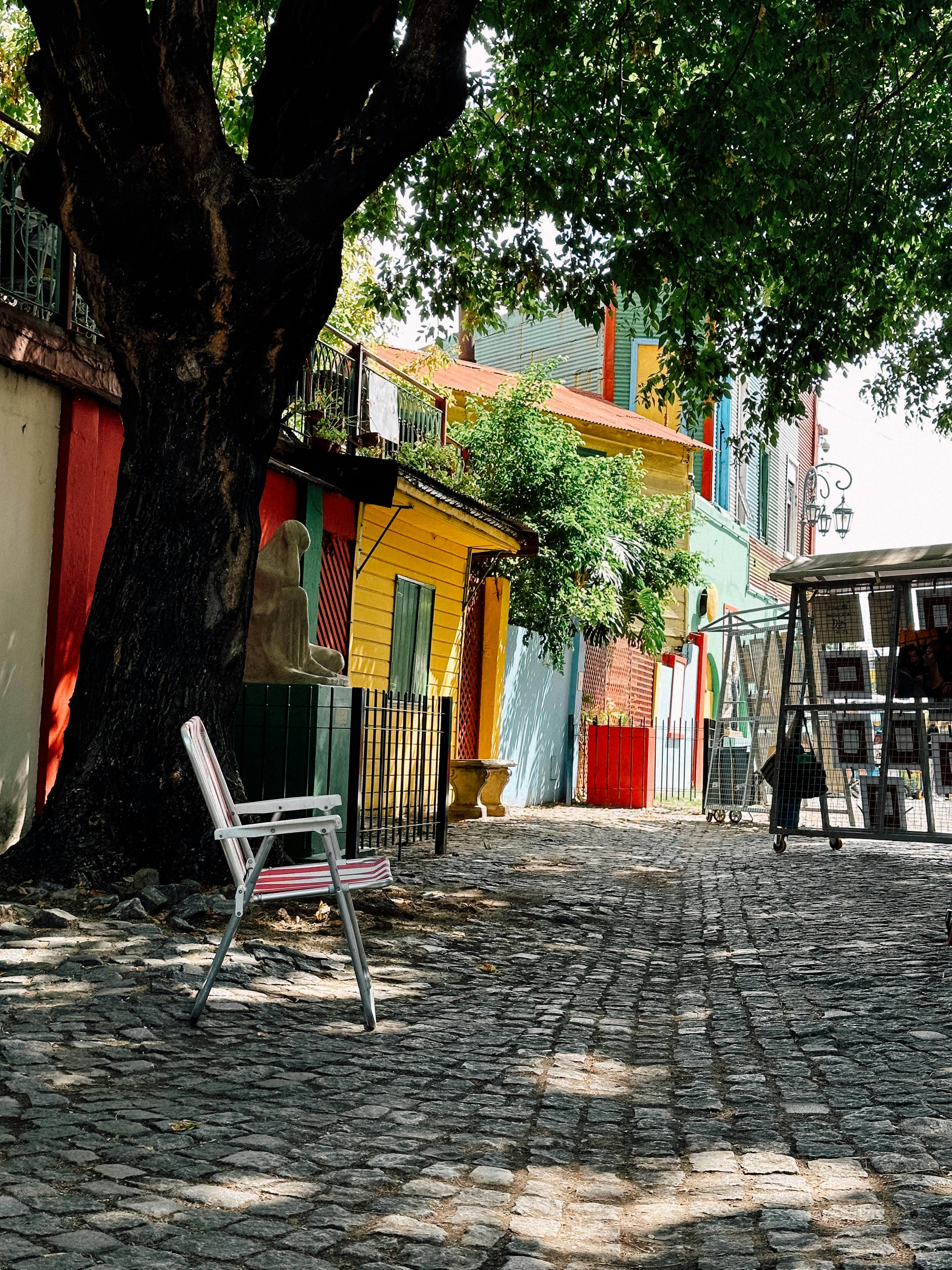Tree around Cobblestone Pavement · Free Stock Photo