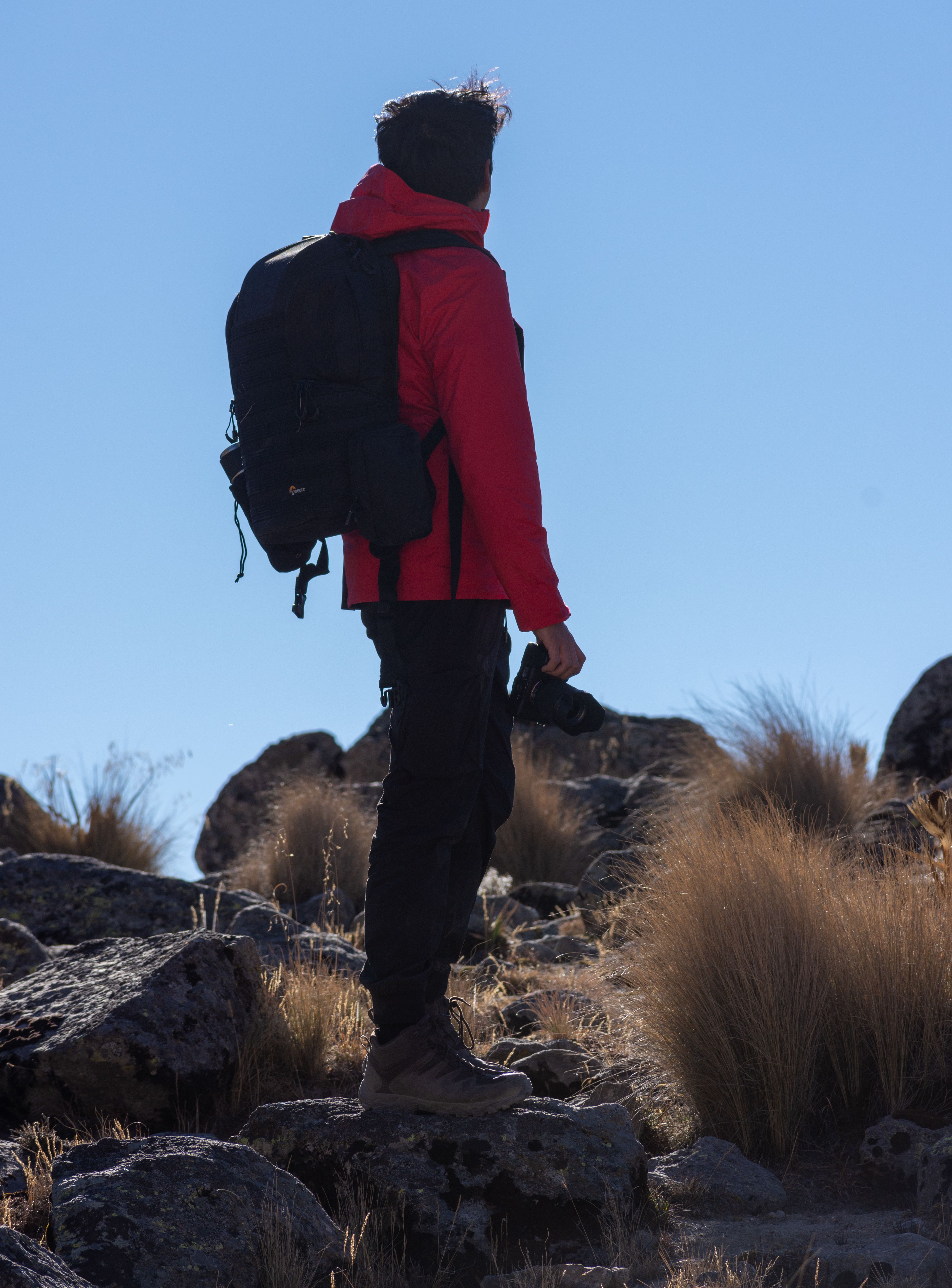 Man Carrying a Backpack · Free Stock Photo