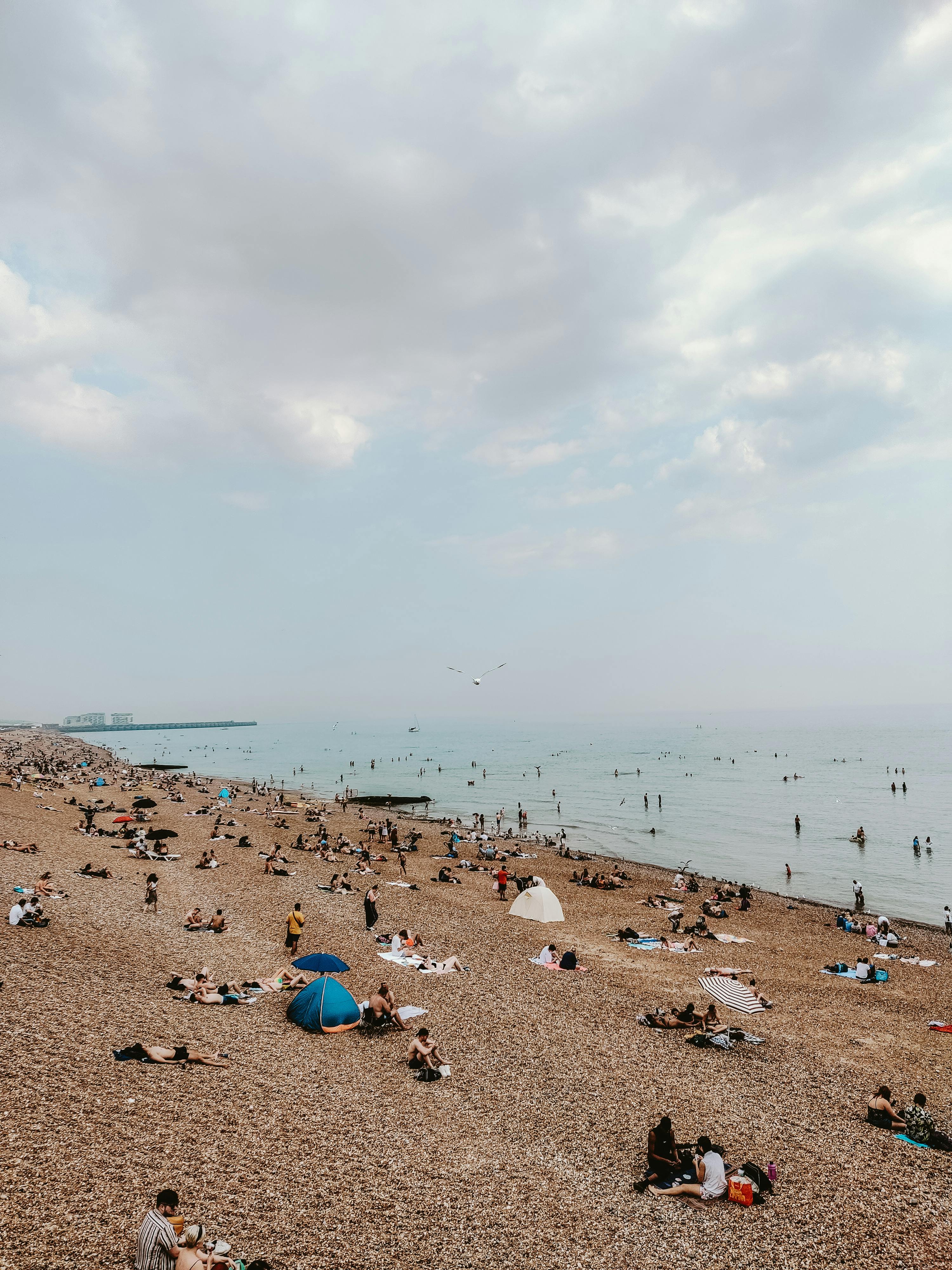 Lots of People on a Sandy Beach · Free Stock Photo