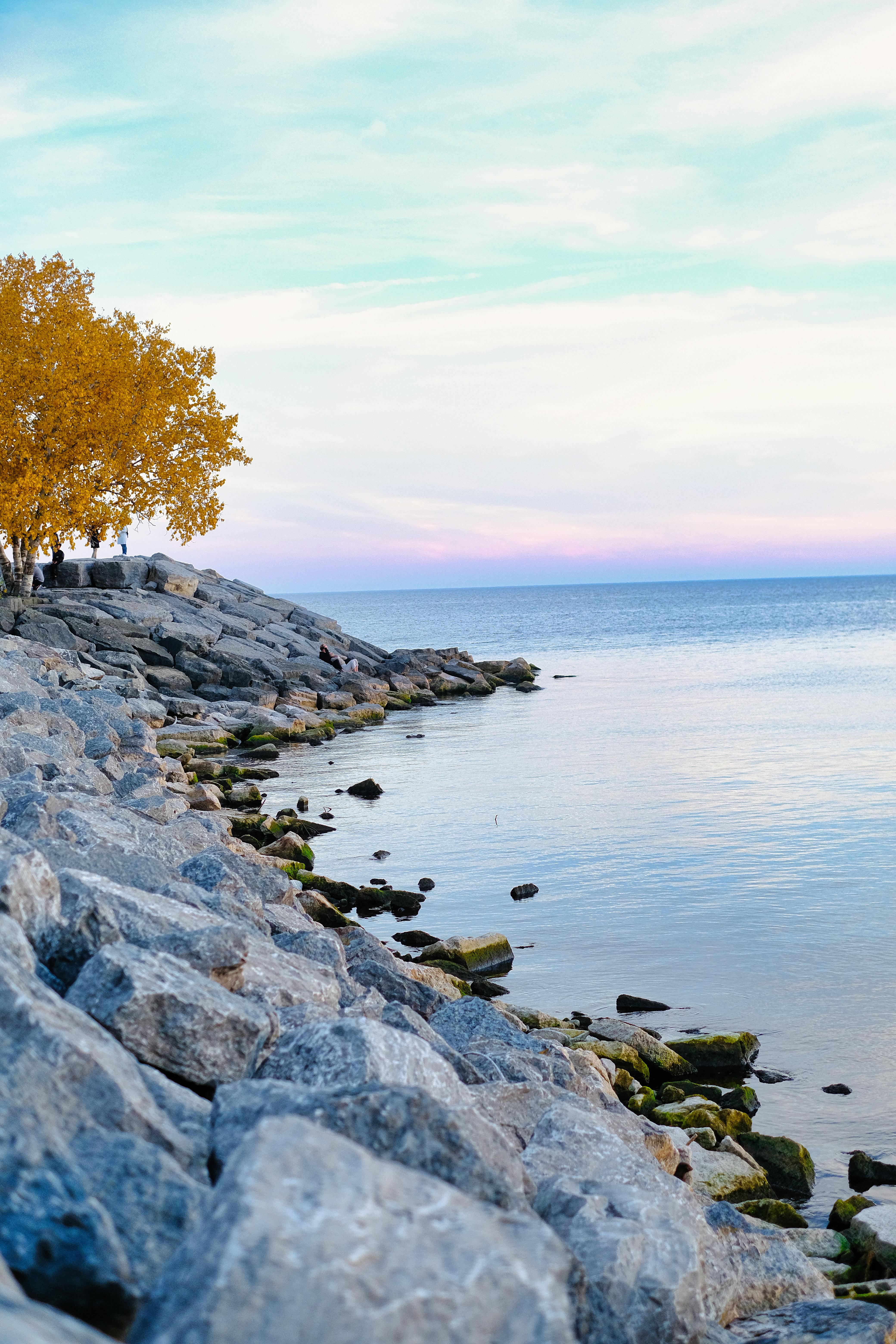 Autumn Trees on Sea Coastline · Free Stock Photo
