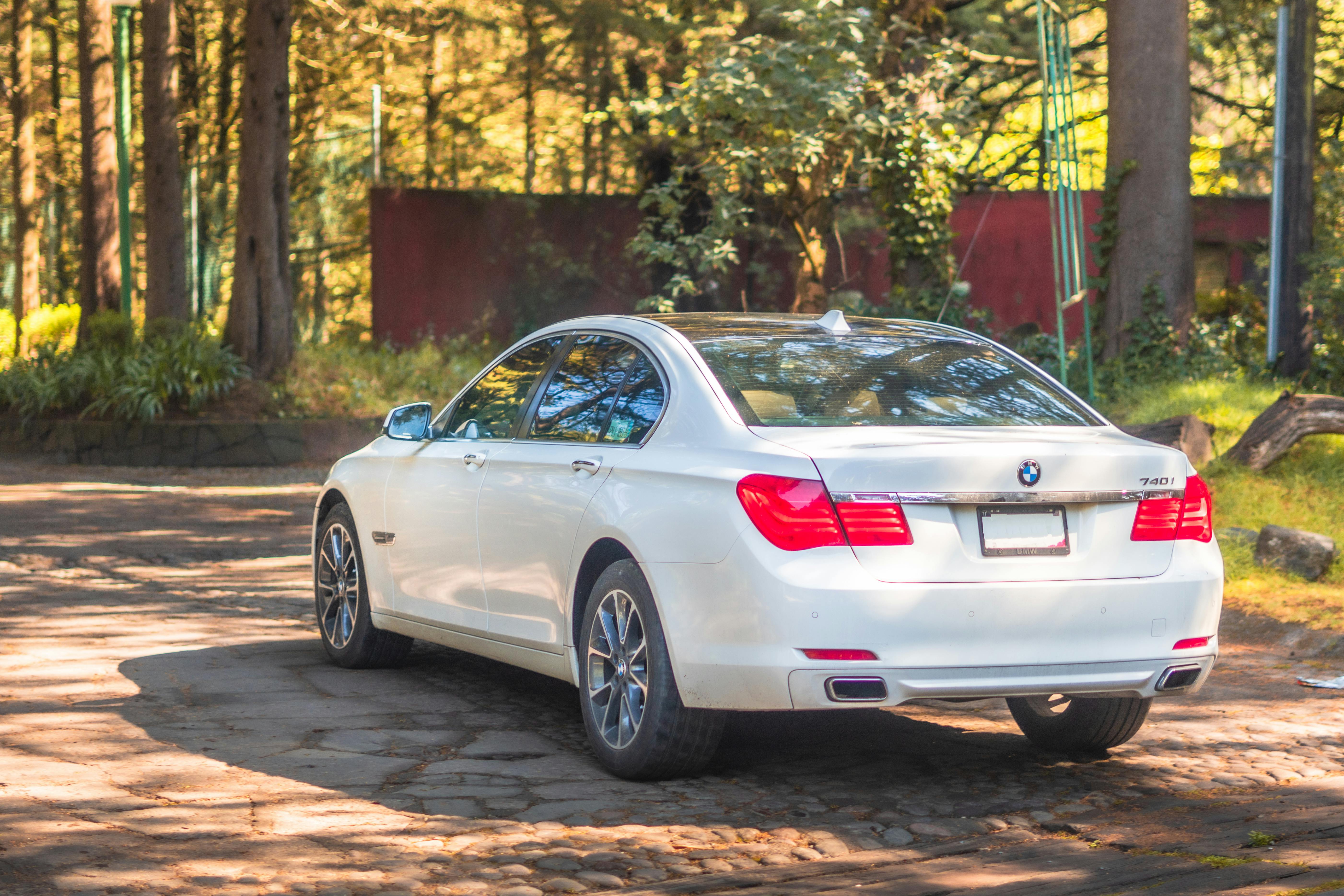 Back View of a White Car, and Trees · Free Stock Photo