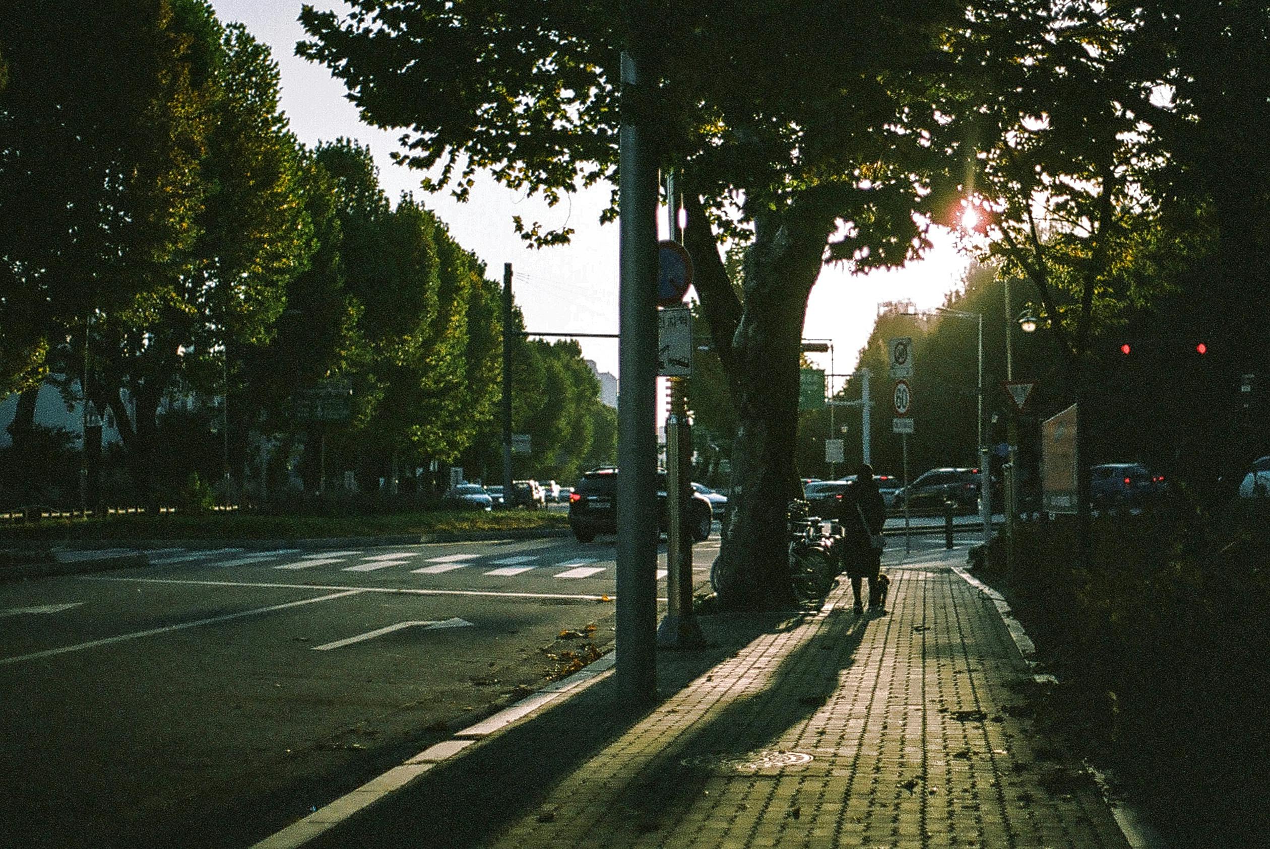 Nightfall Photos, Download The BEST Free Nightfall Stock Photos & HD Images