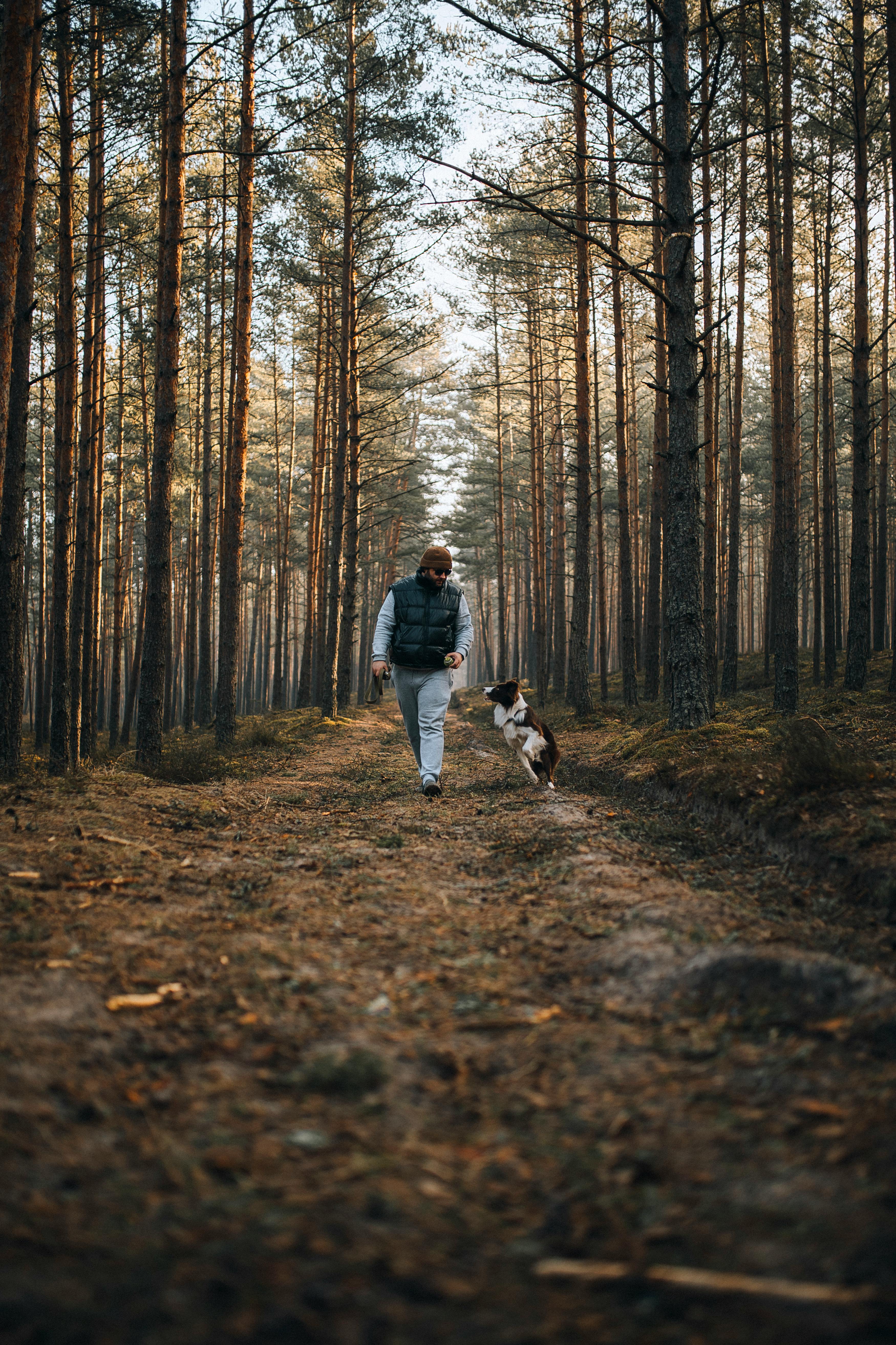 Man Walking the Dog in a Forest · Free Stock Photo