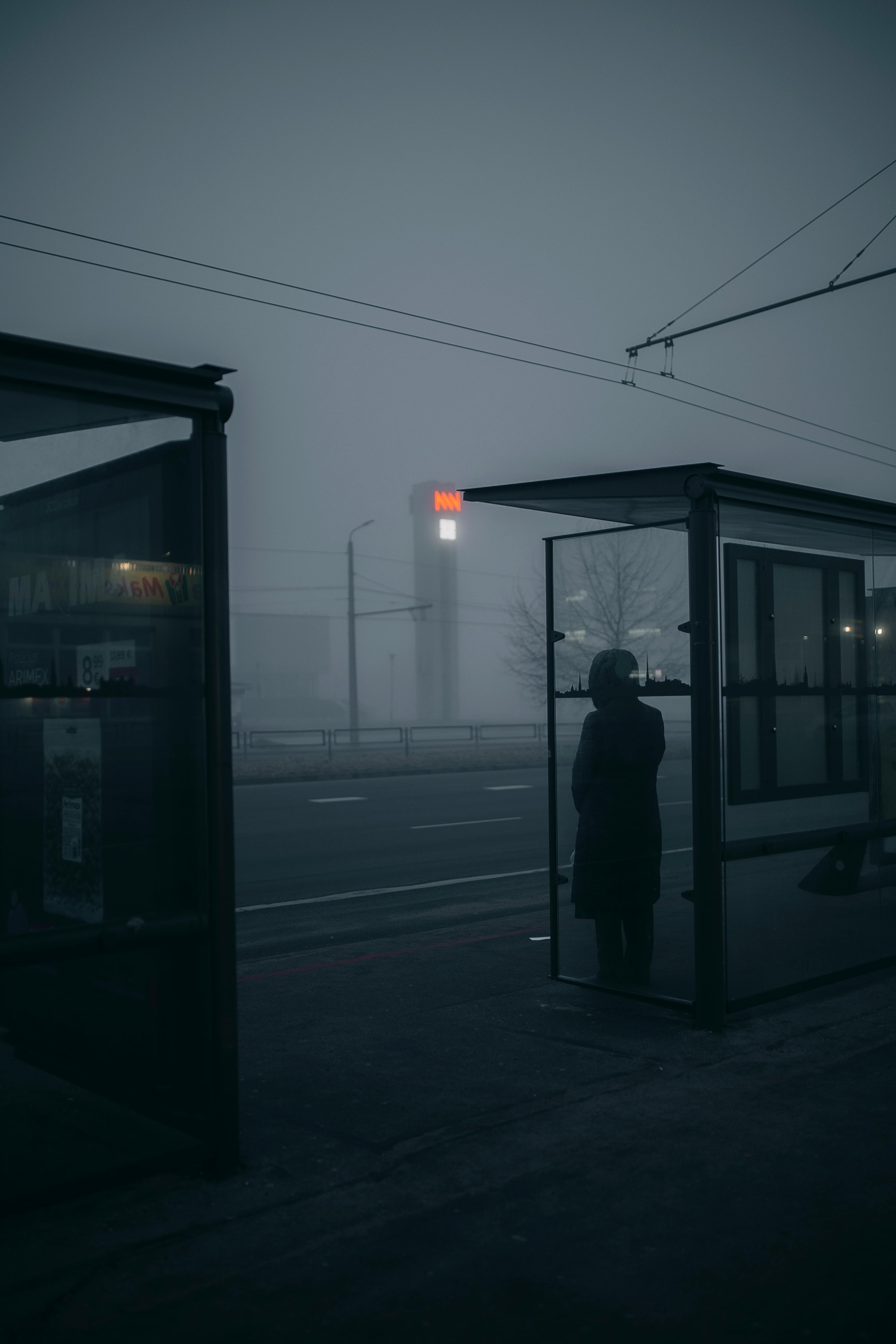 Bus Stops in the Rain · Free Stock Photo