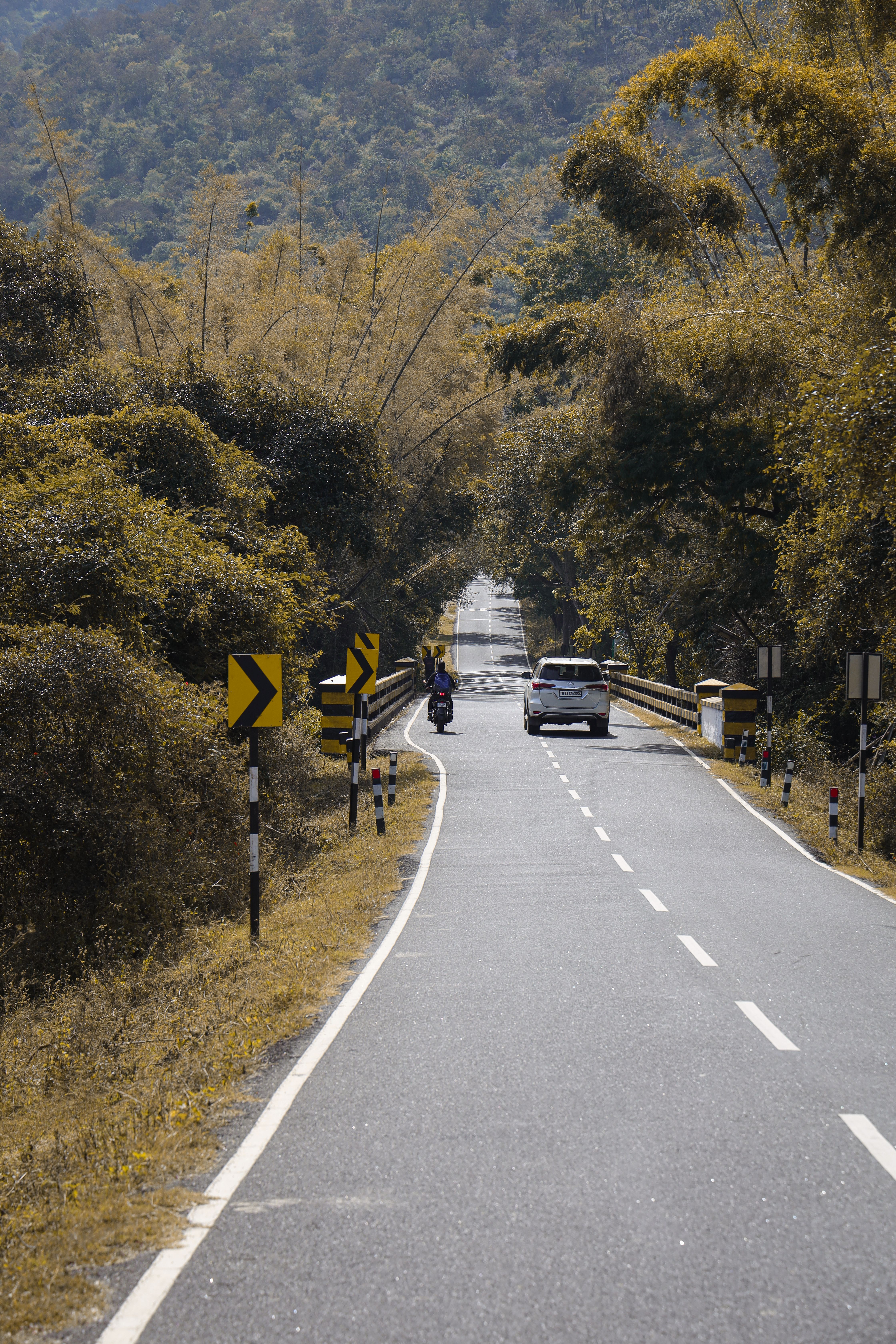 Car and Motorcycle on Road between Trees · Free Stock Photo