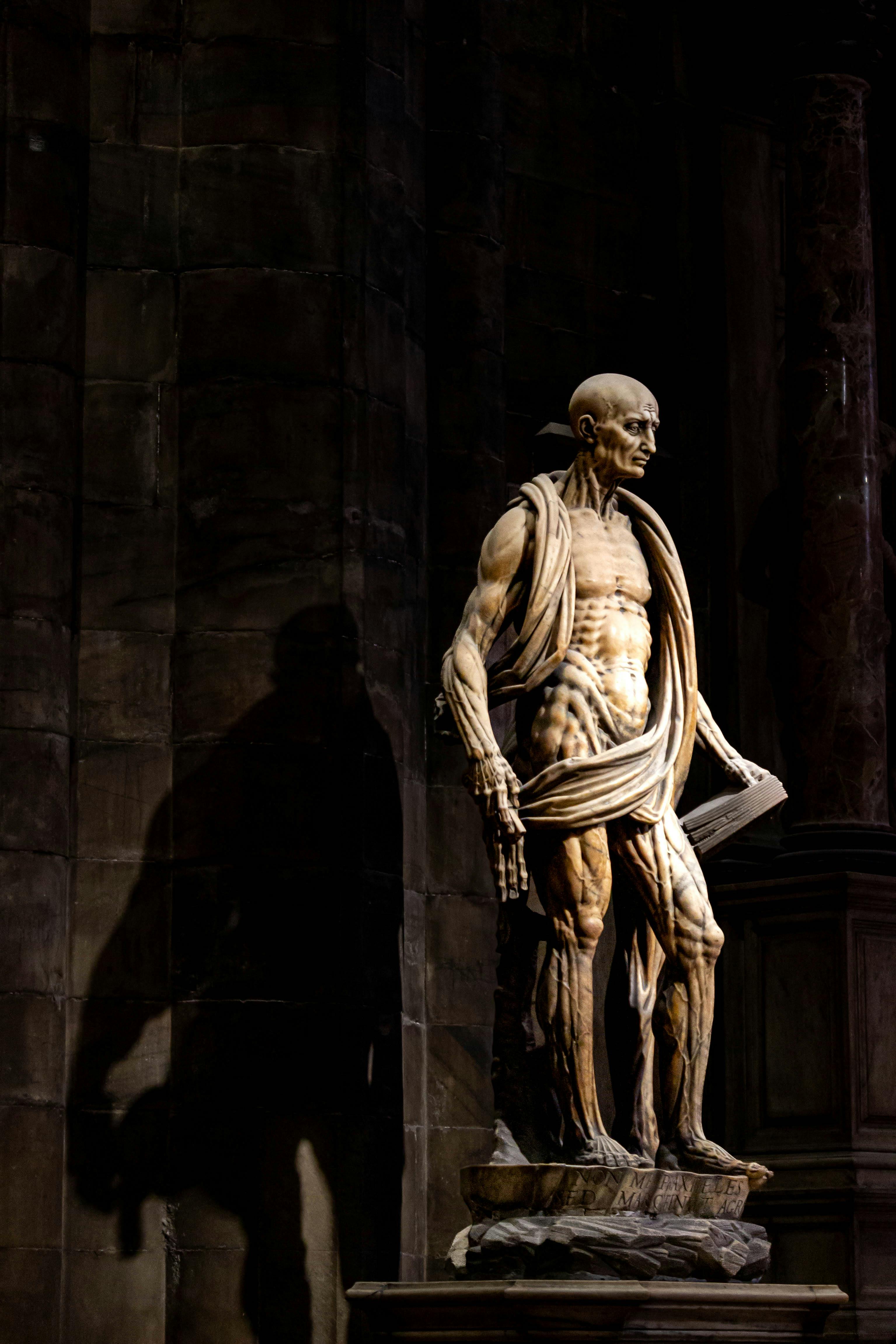 Renaissance Art Photos, Download The BEST Free Renaissance Art Stock ...