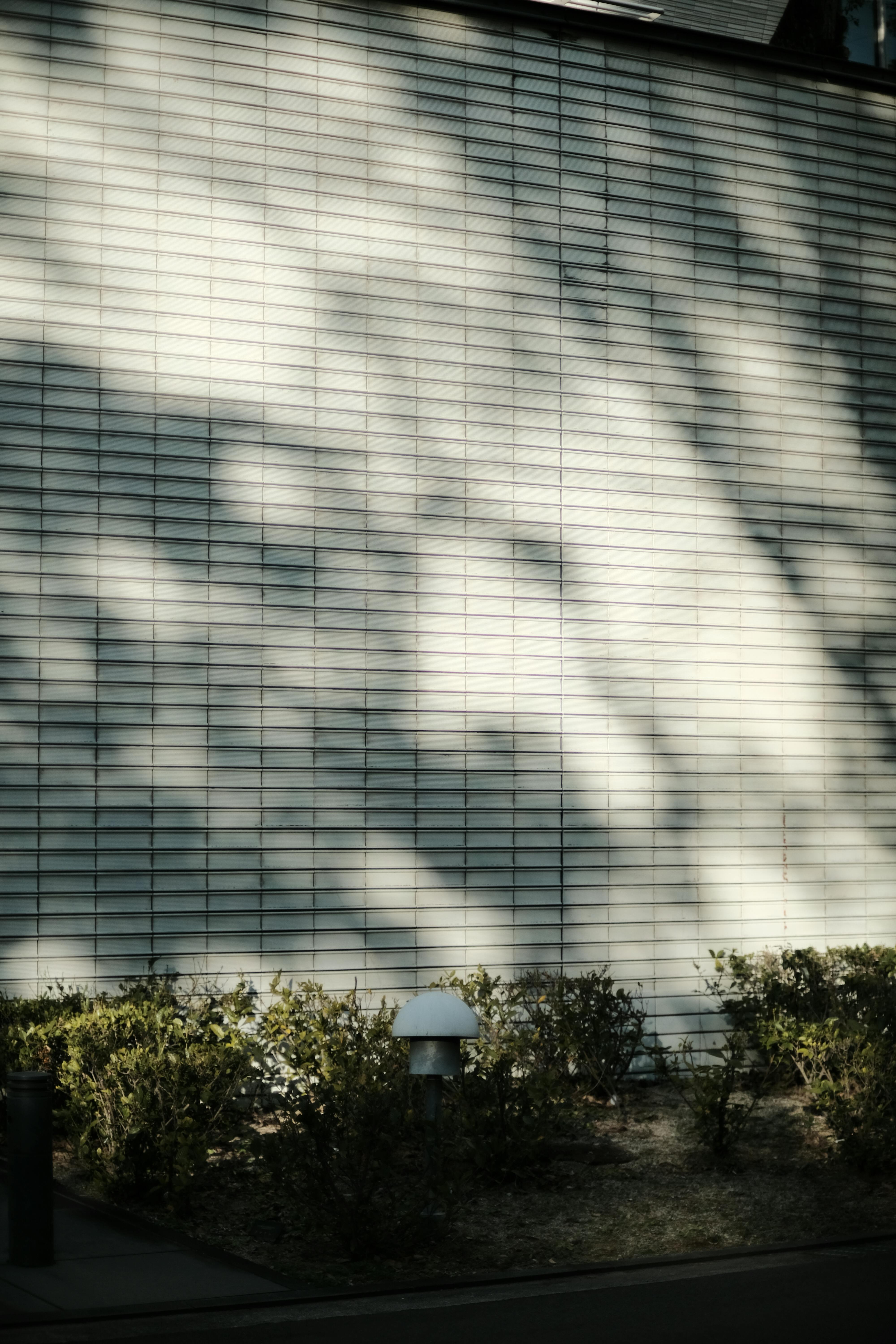 Tree Shadows on a Building Exterior · Free Stock Photo
