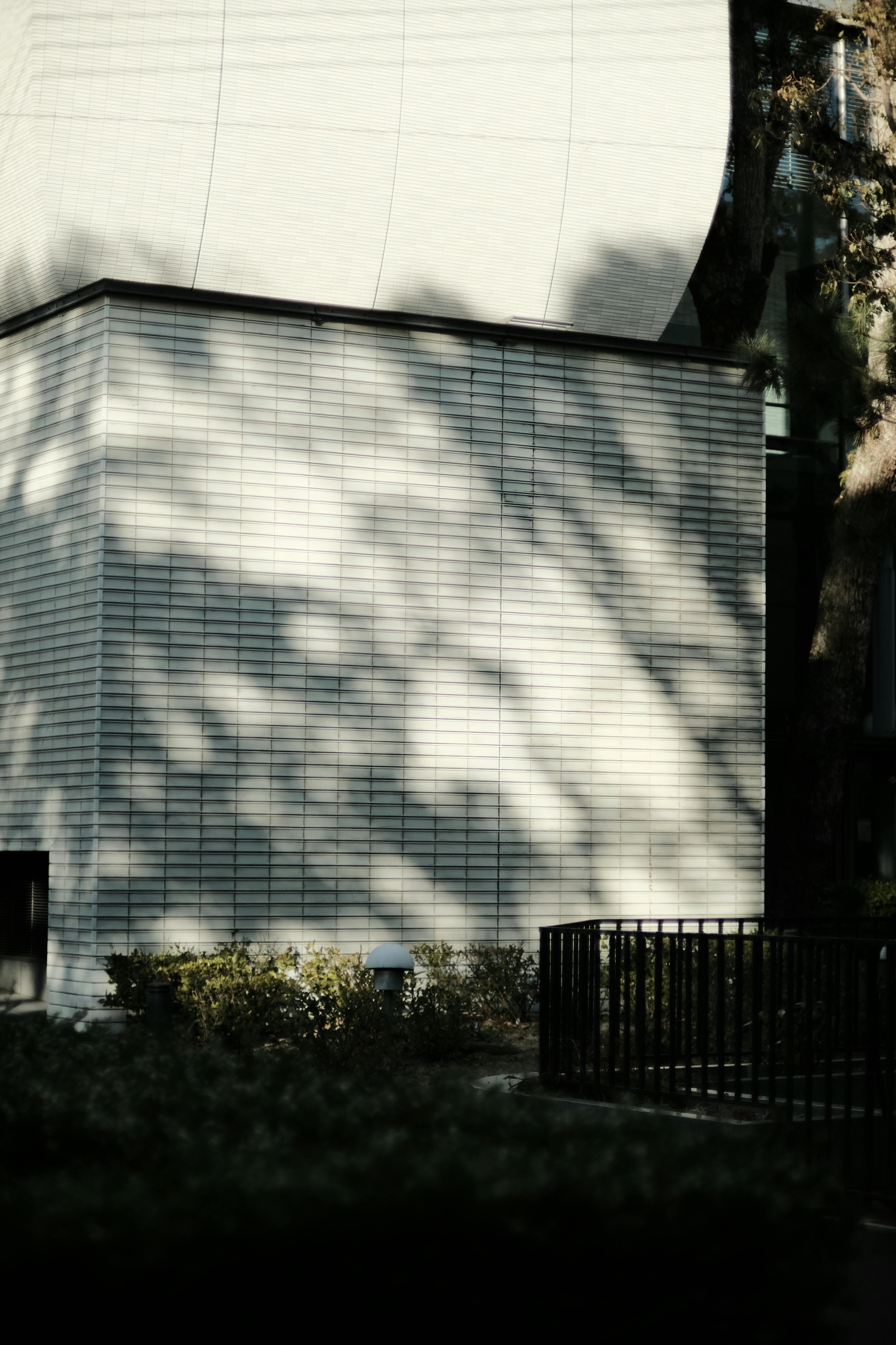 Tree Shadows on a Building Exterior · Free Stock Photo
