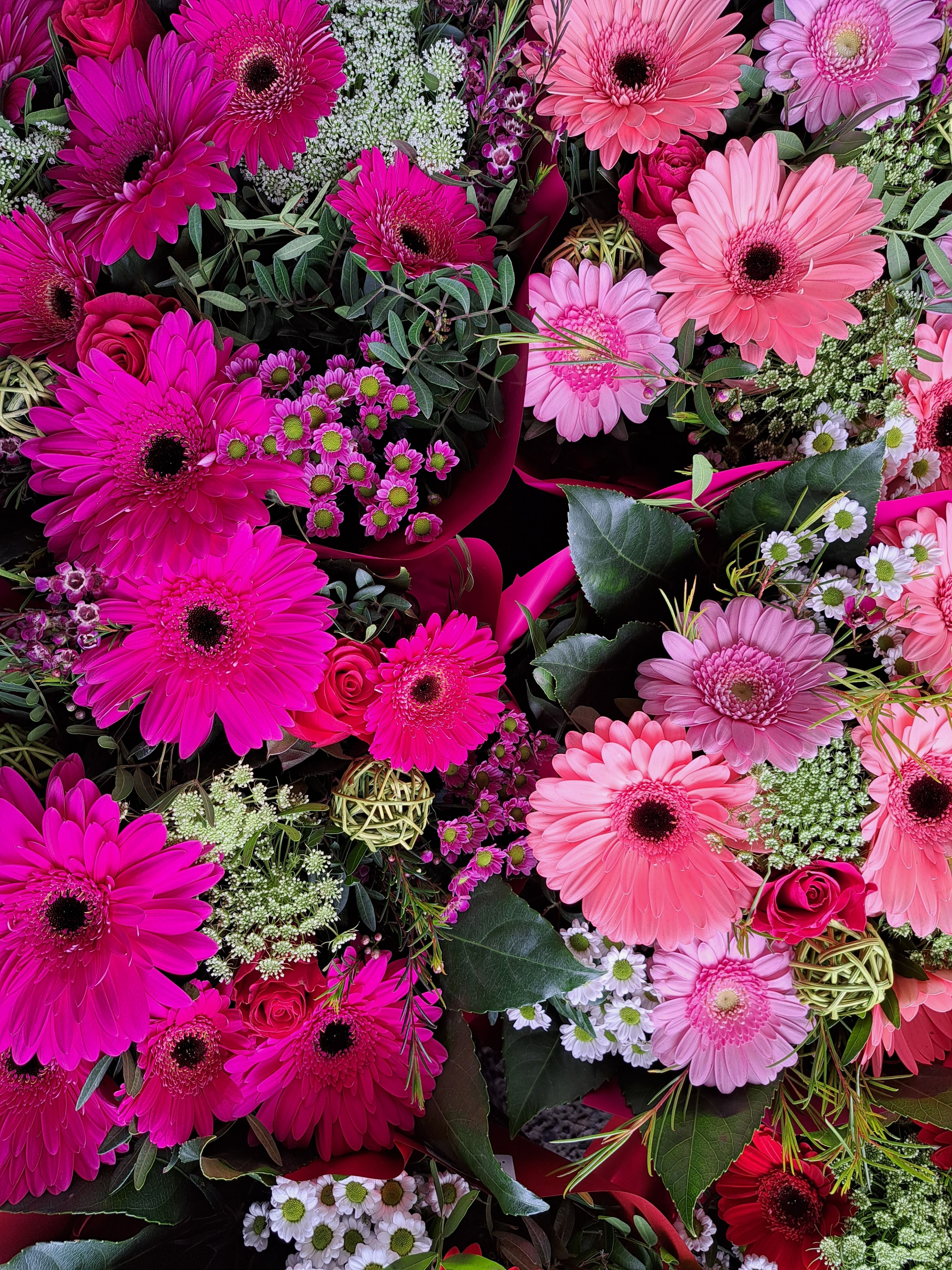Pink Green Blue Multi Petaled Flowers · Free Stock Photo