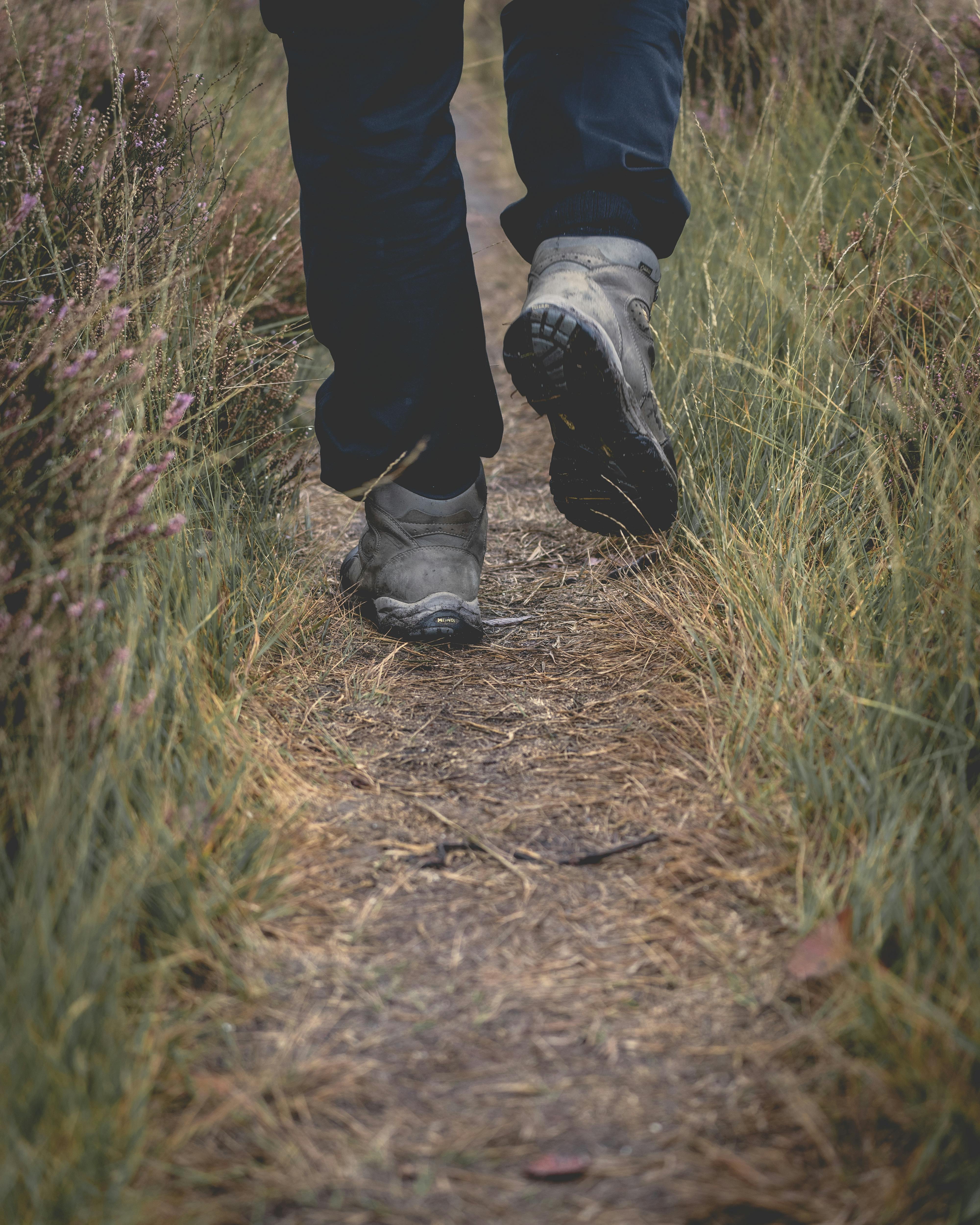 Guy walked on the path, Noorderheide, Elspeet, The Netherlands. · Free ...