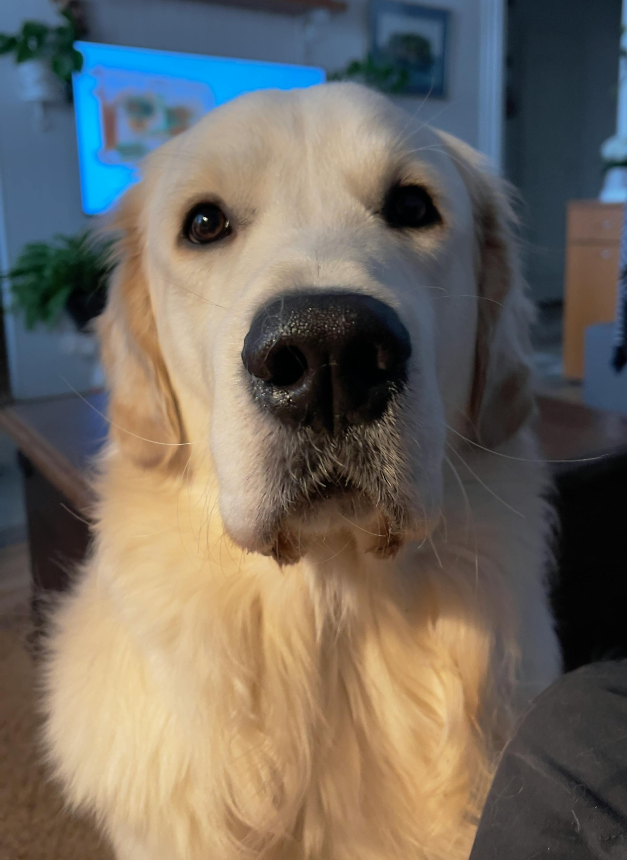 Kimmo Vainio - 摄影