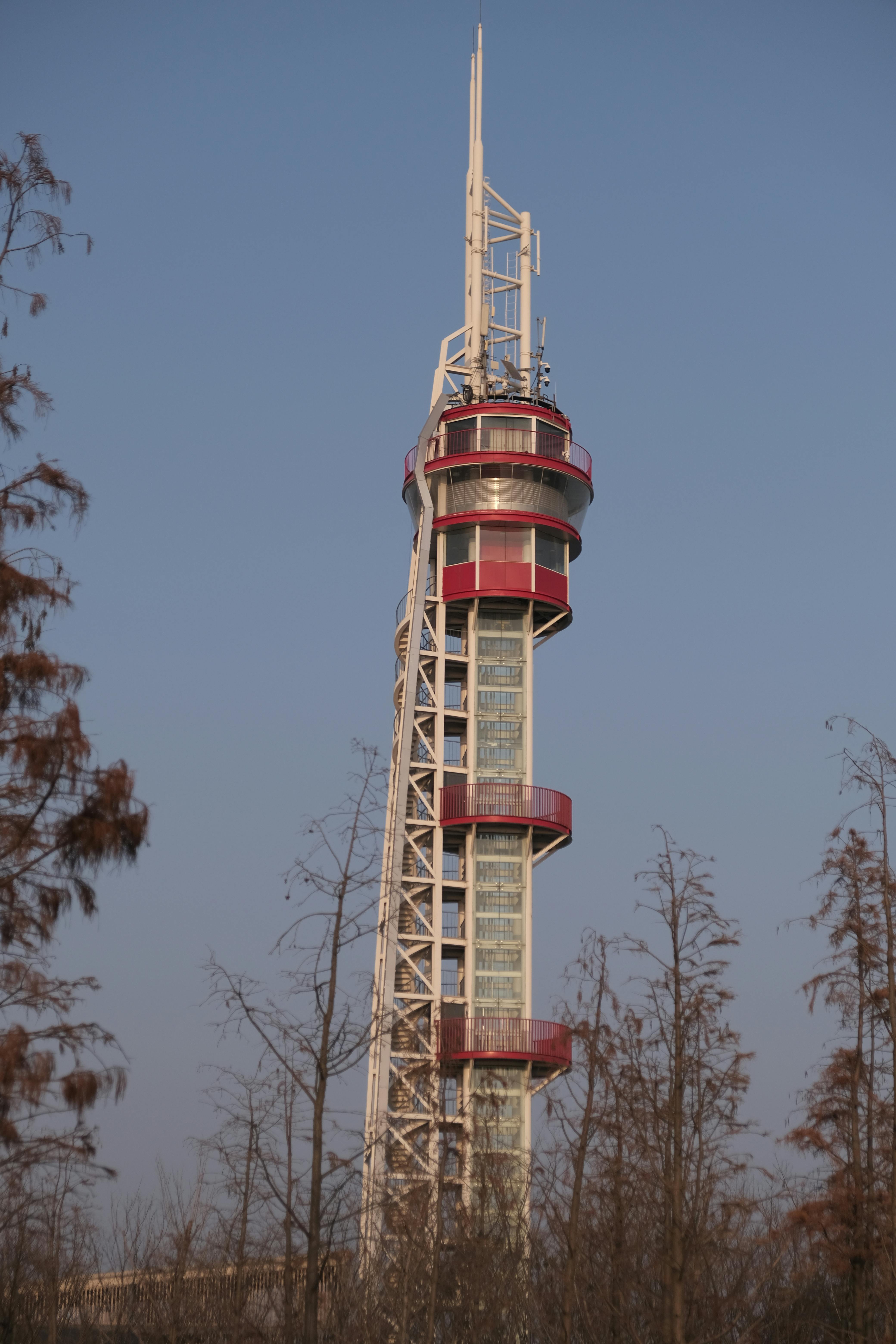 Trees and Radio Mast behind · Free Stock Photo