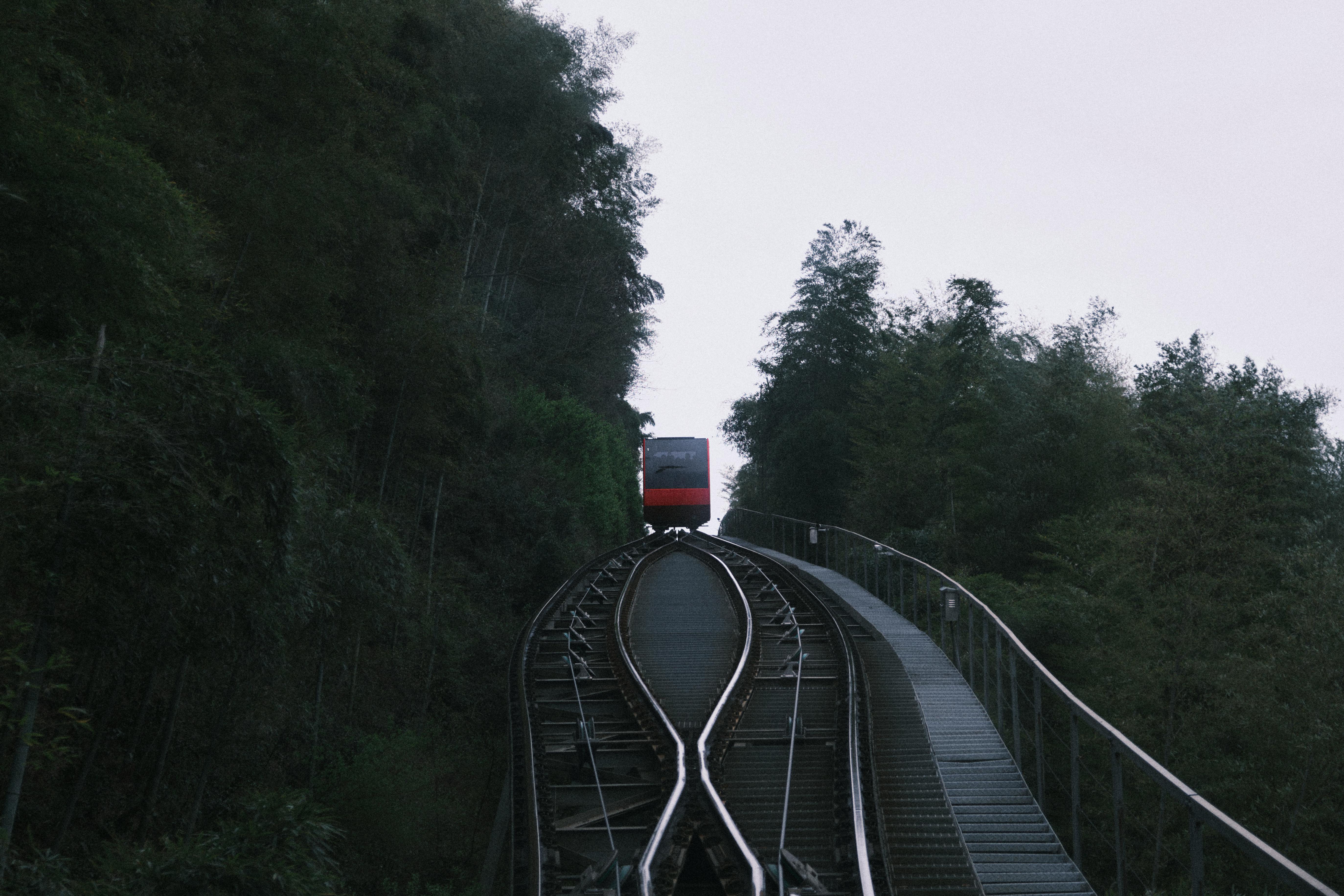 Funicular Going Through the Forest · Free Stock Photo