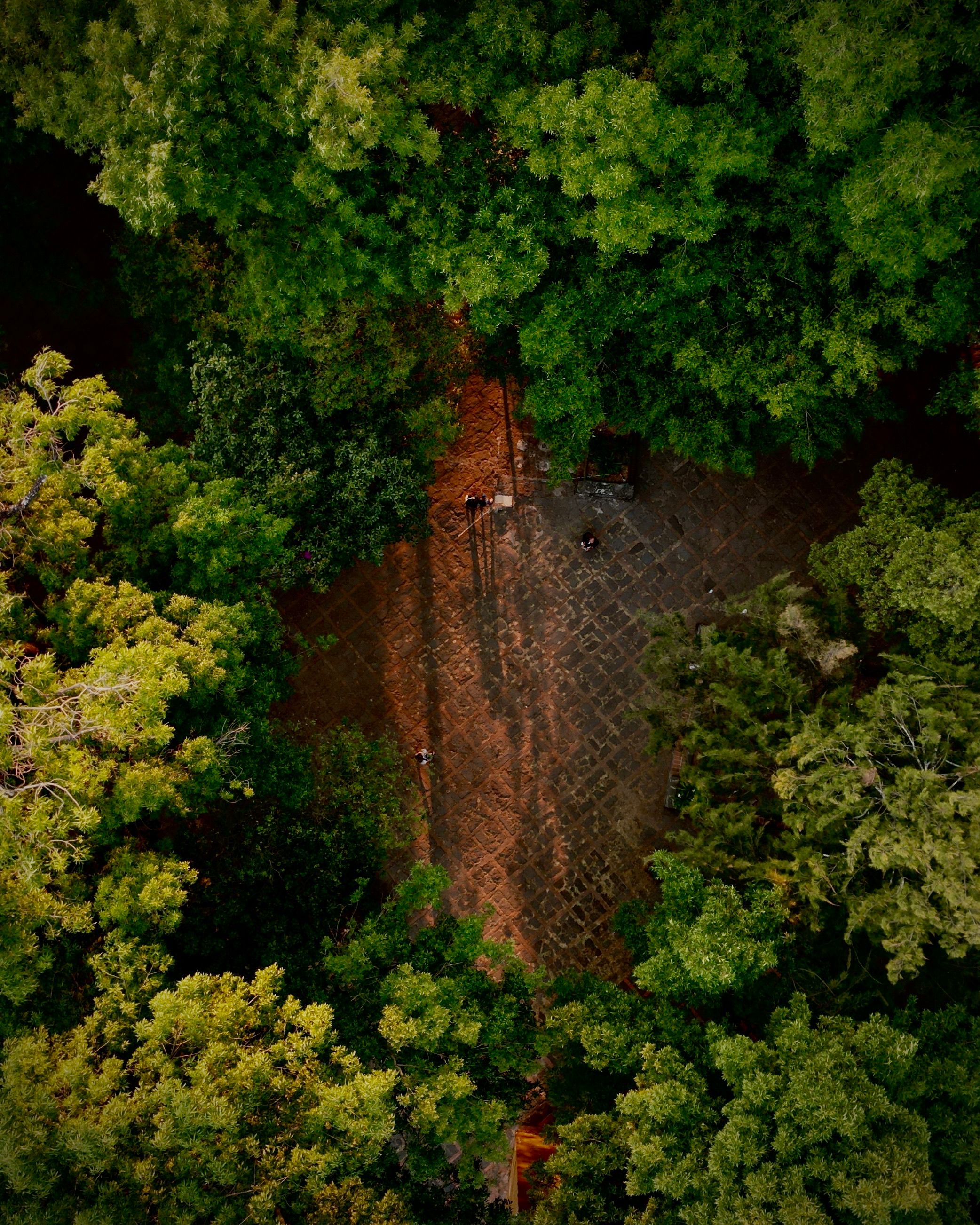 Birds Eye View of Green Plains · Free Stock Photo
