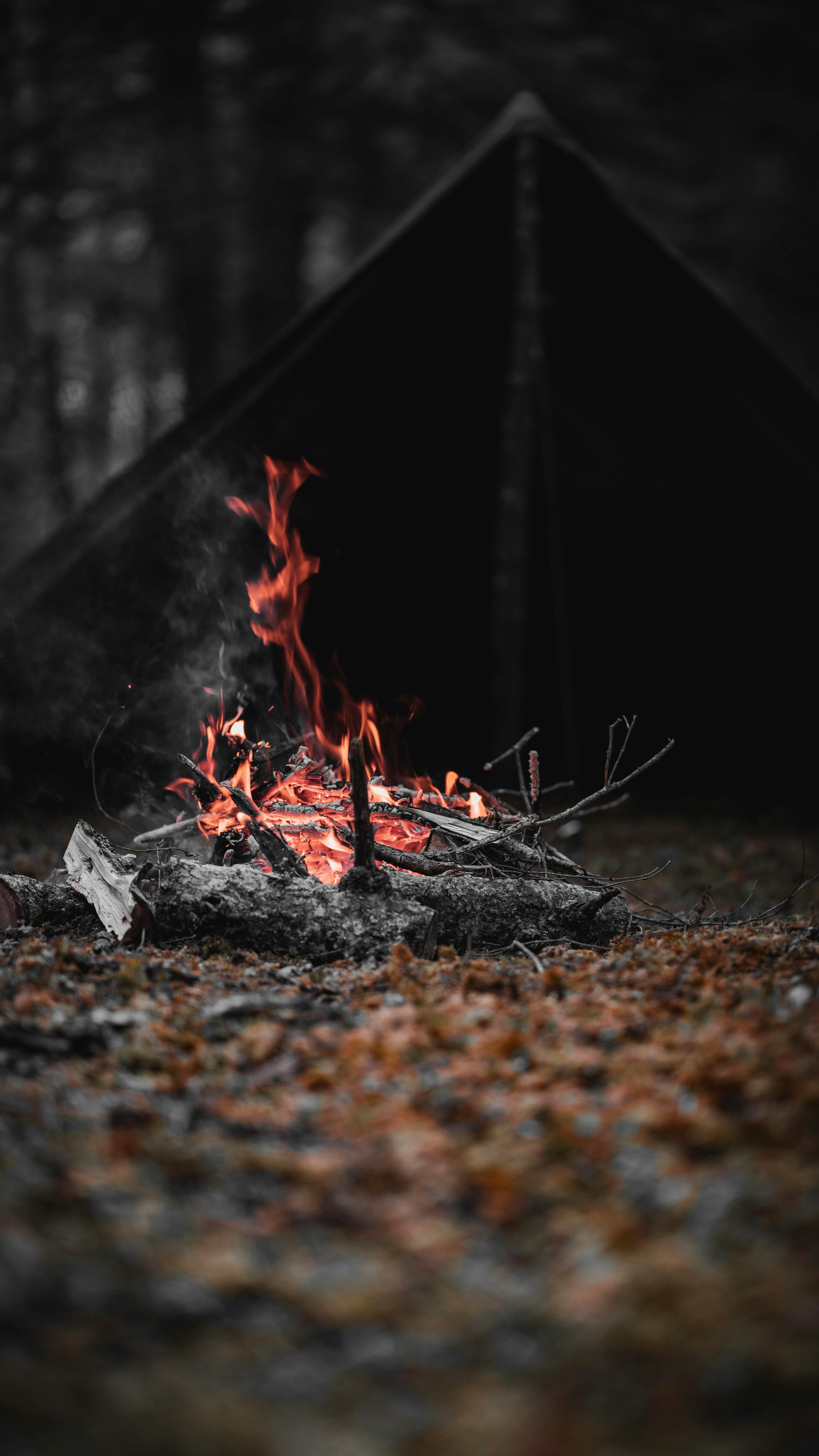 Burning Bonfire in Forest in Autumn · Free Stock Photo
