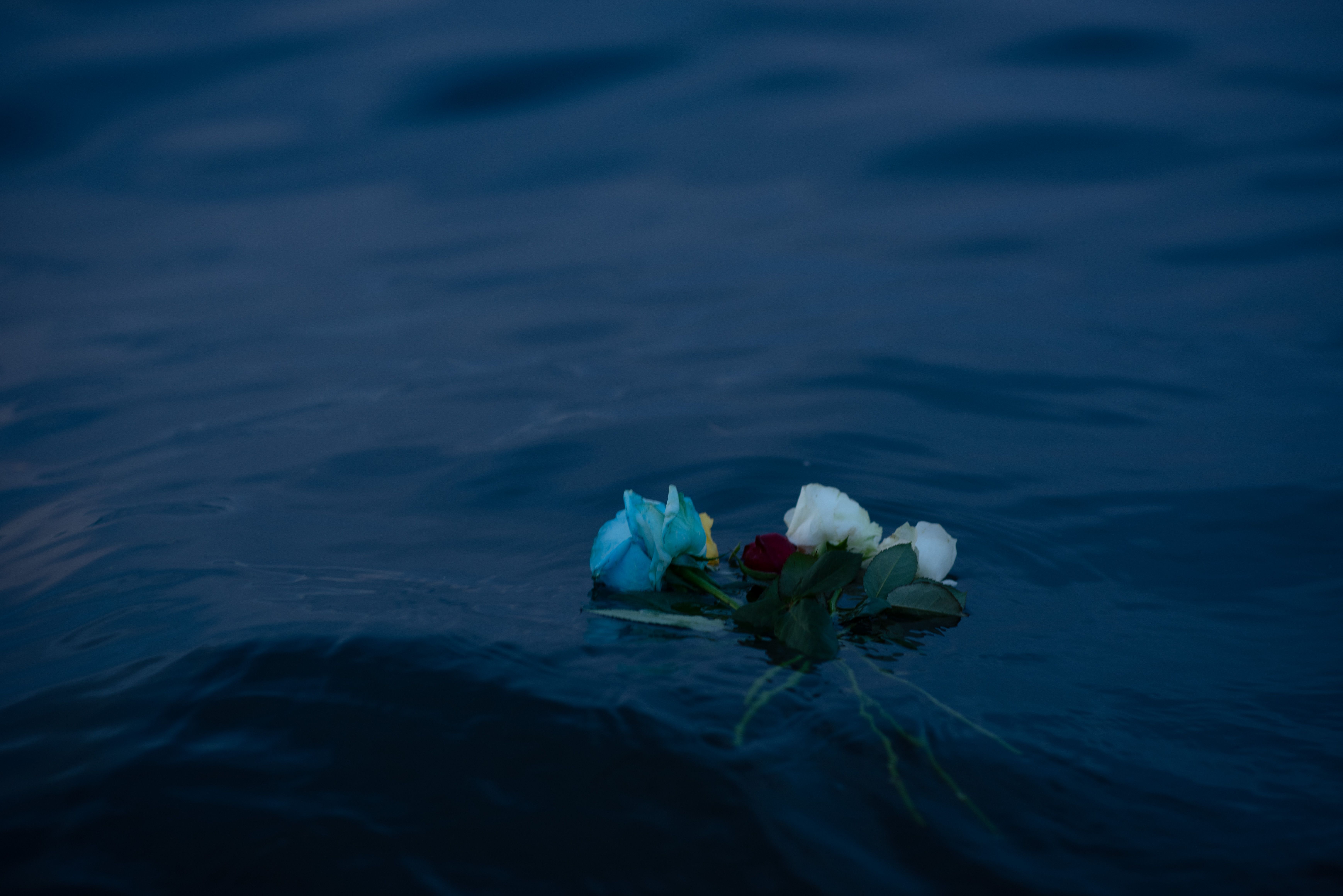 Bouquet of Flowers Floating on Water · Free Stock Photo