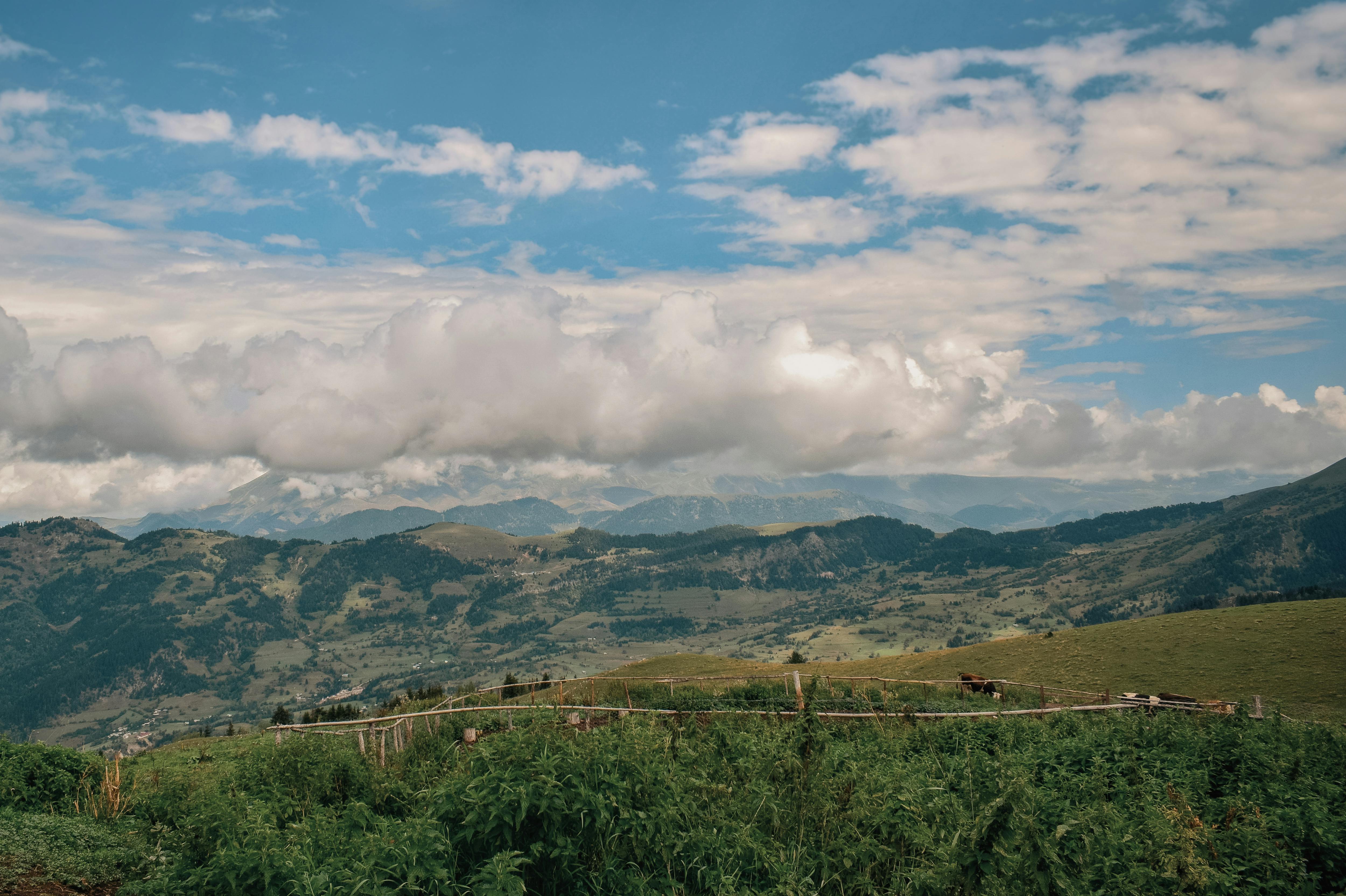 Uncanny Valley Photos, Download The BEST Free Uncanny Valley Stock ...