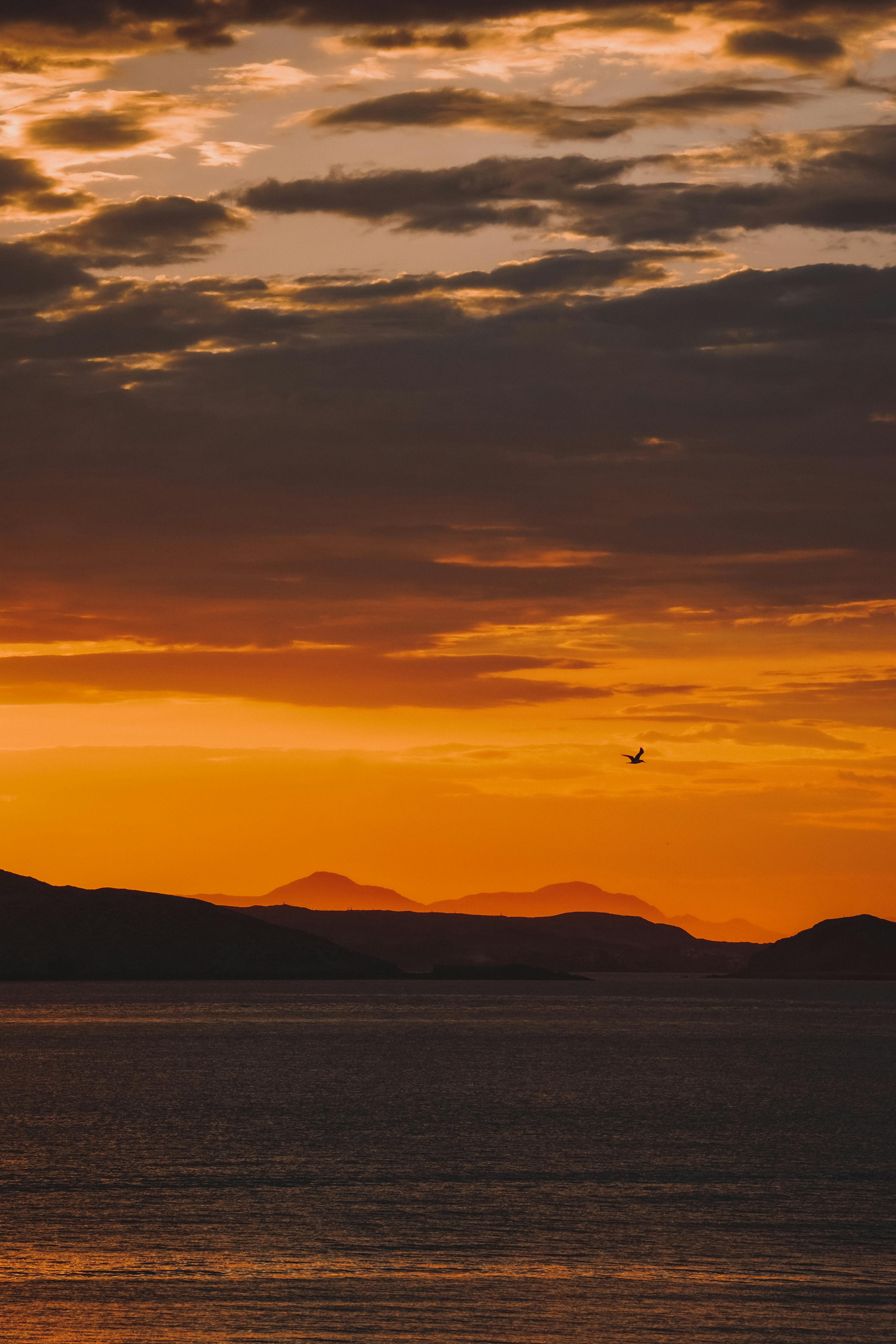 Golden Sky Photos, Download The BEST Free Golden Sky Stock Photos & HD ...