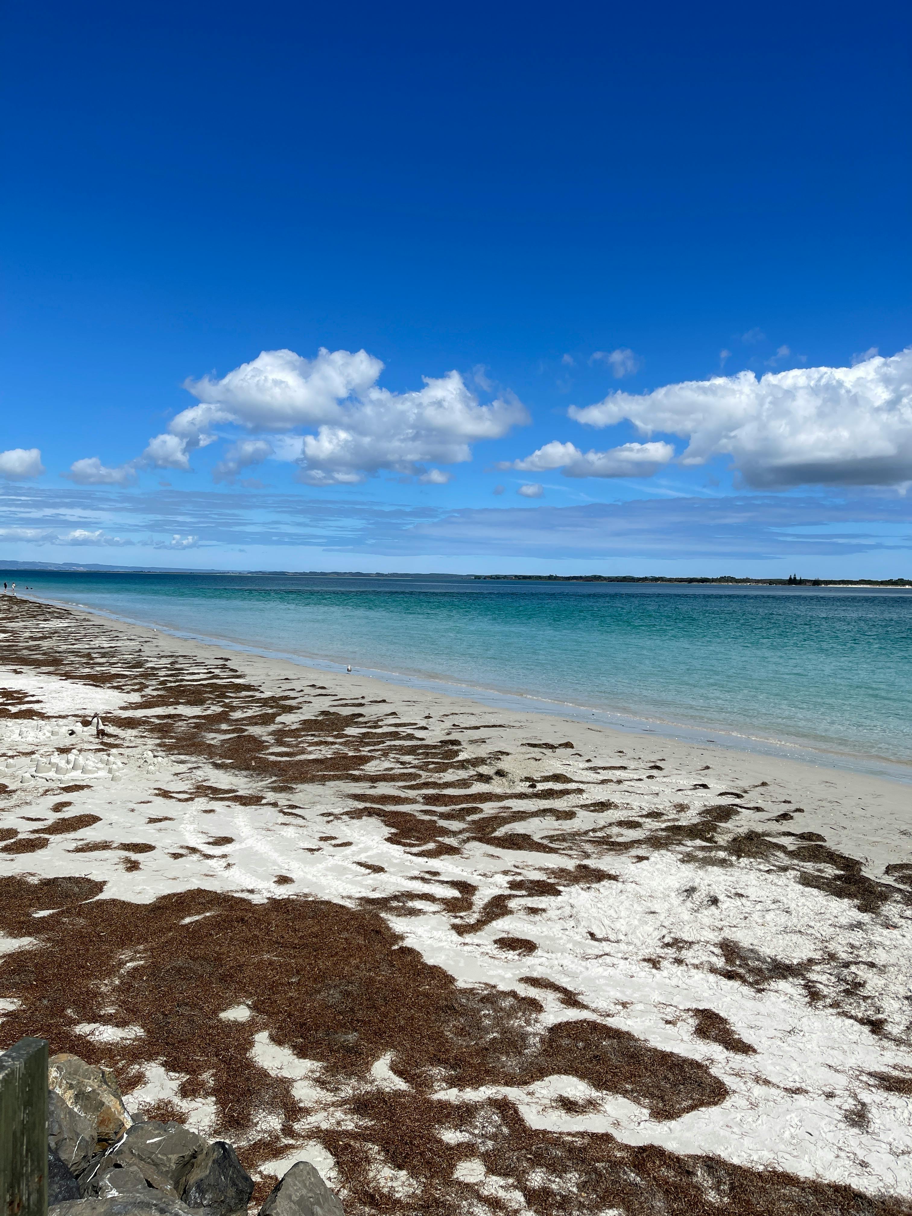 Human Trail on Sandy Beach · Free Stock Photo
