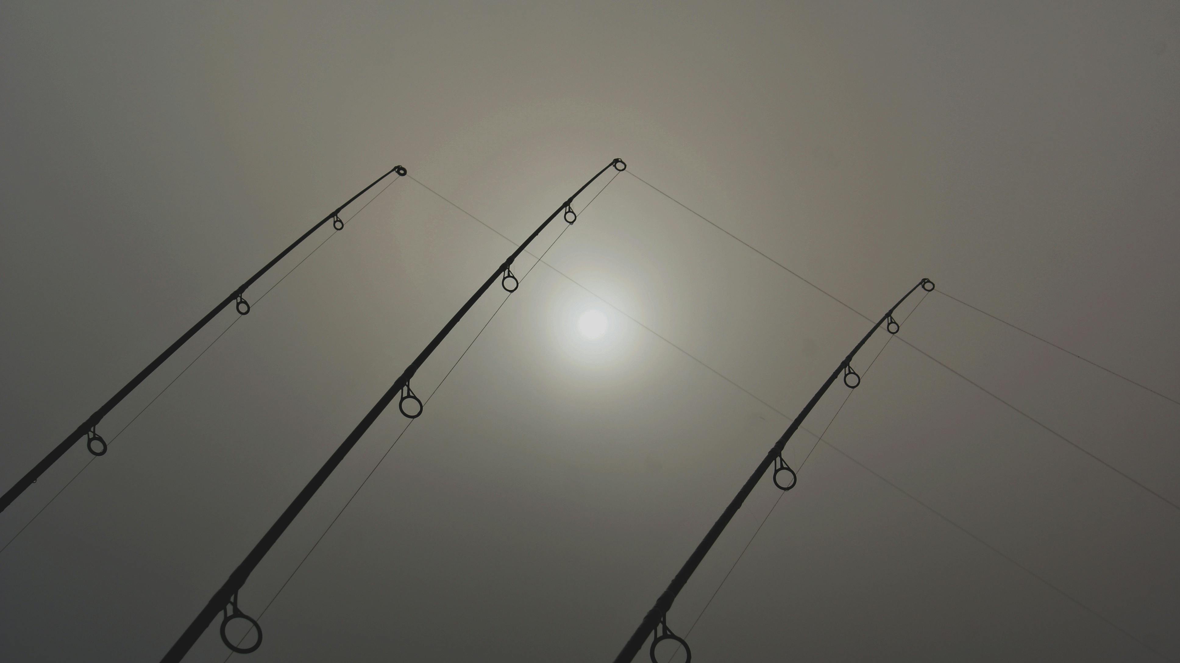 Fishing Rods Against Sun Behind Fog · Free Stock Photo