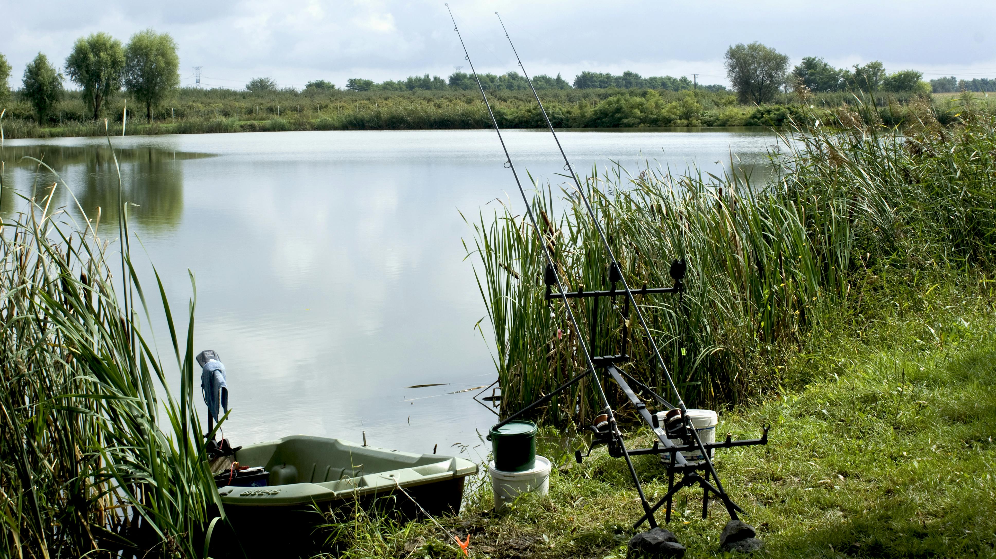 Fishing Rods on Lakeshore · Free Stock Photo