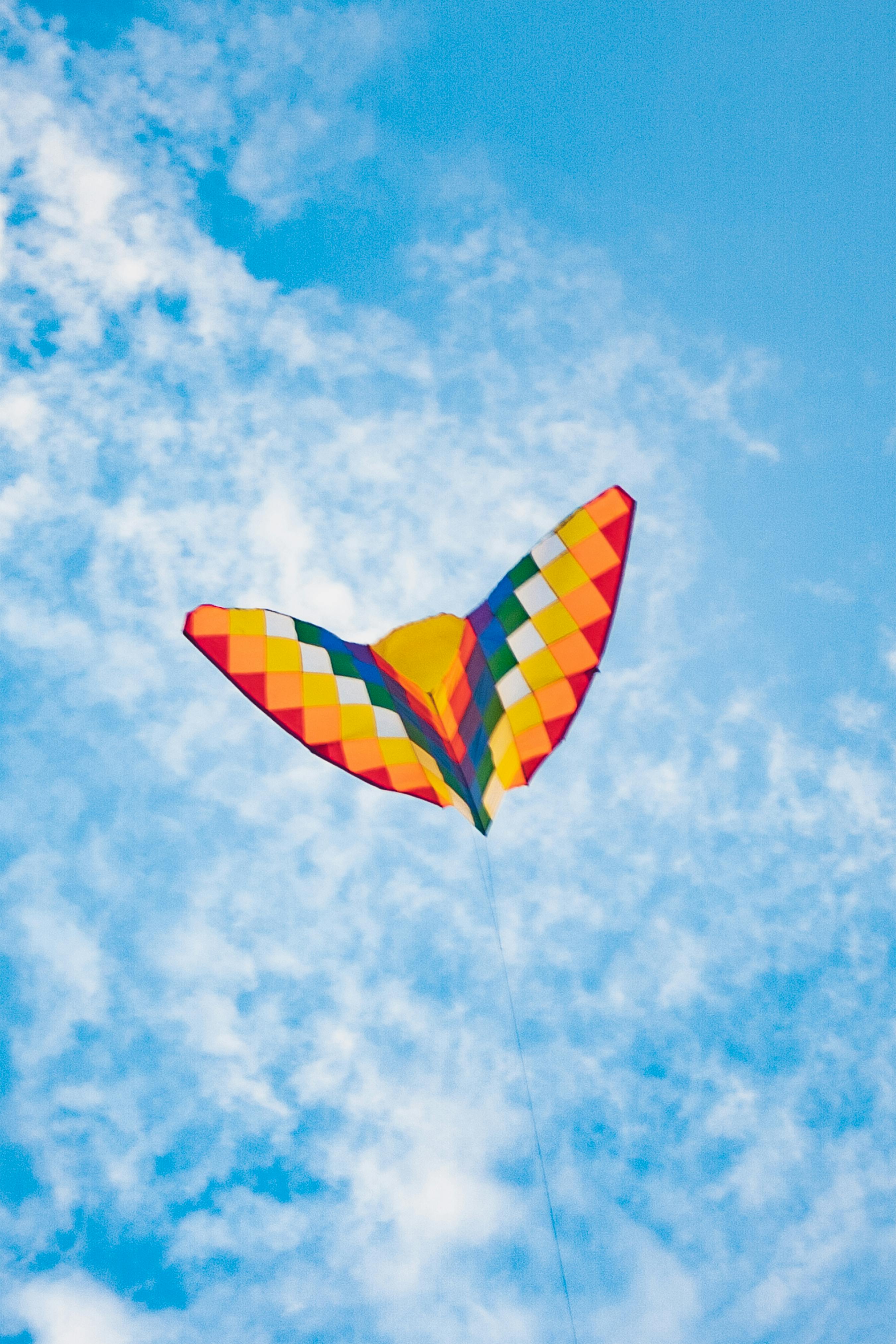 Assorted-color Kites · Free Stock Photo