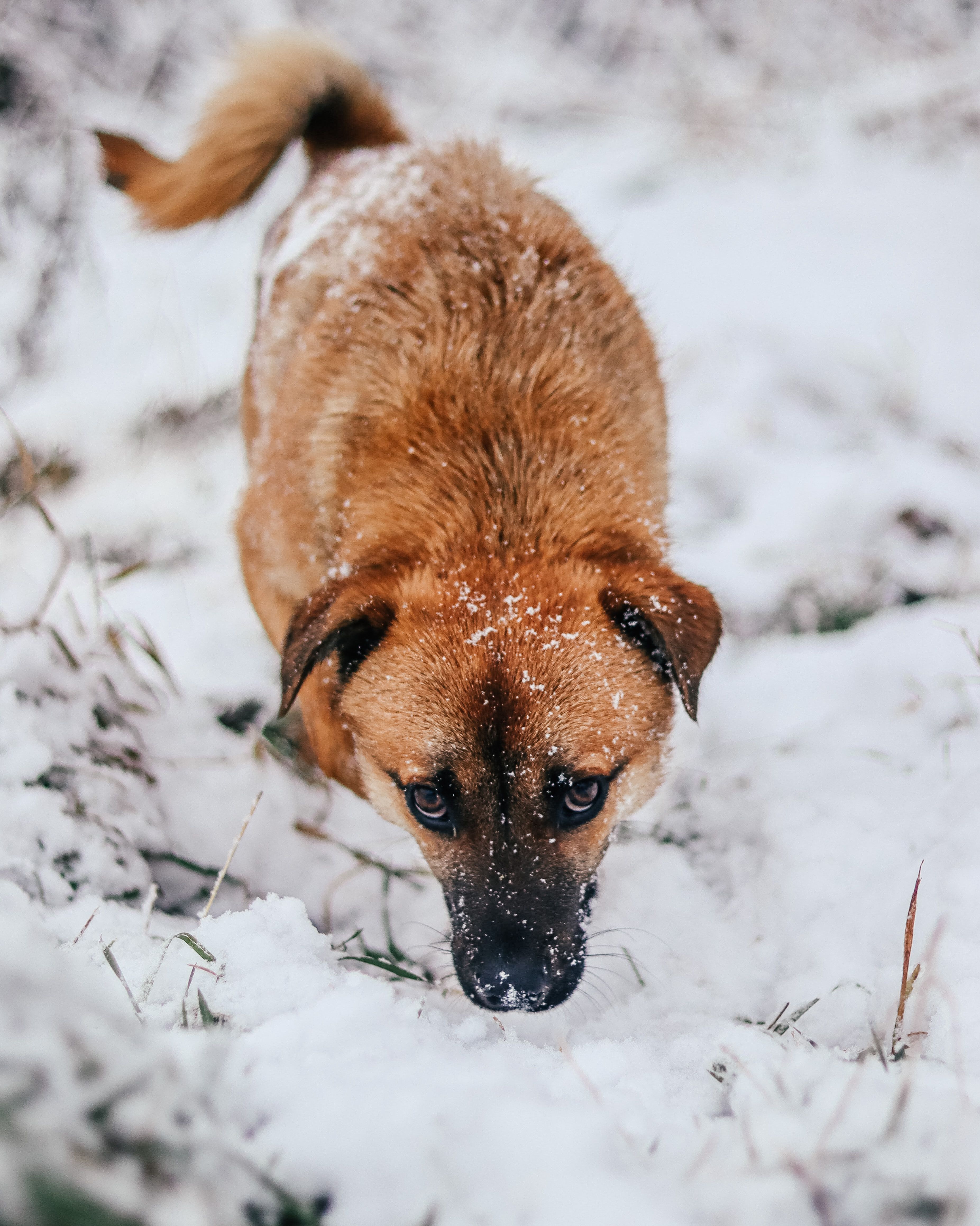 Discover The Guardian Photos, Download The BEST Free Discover The ...